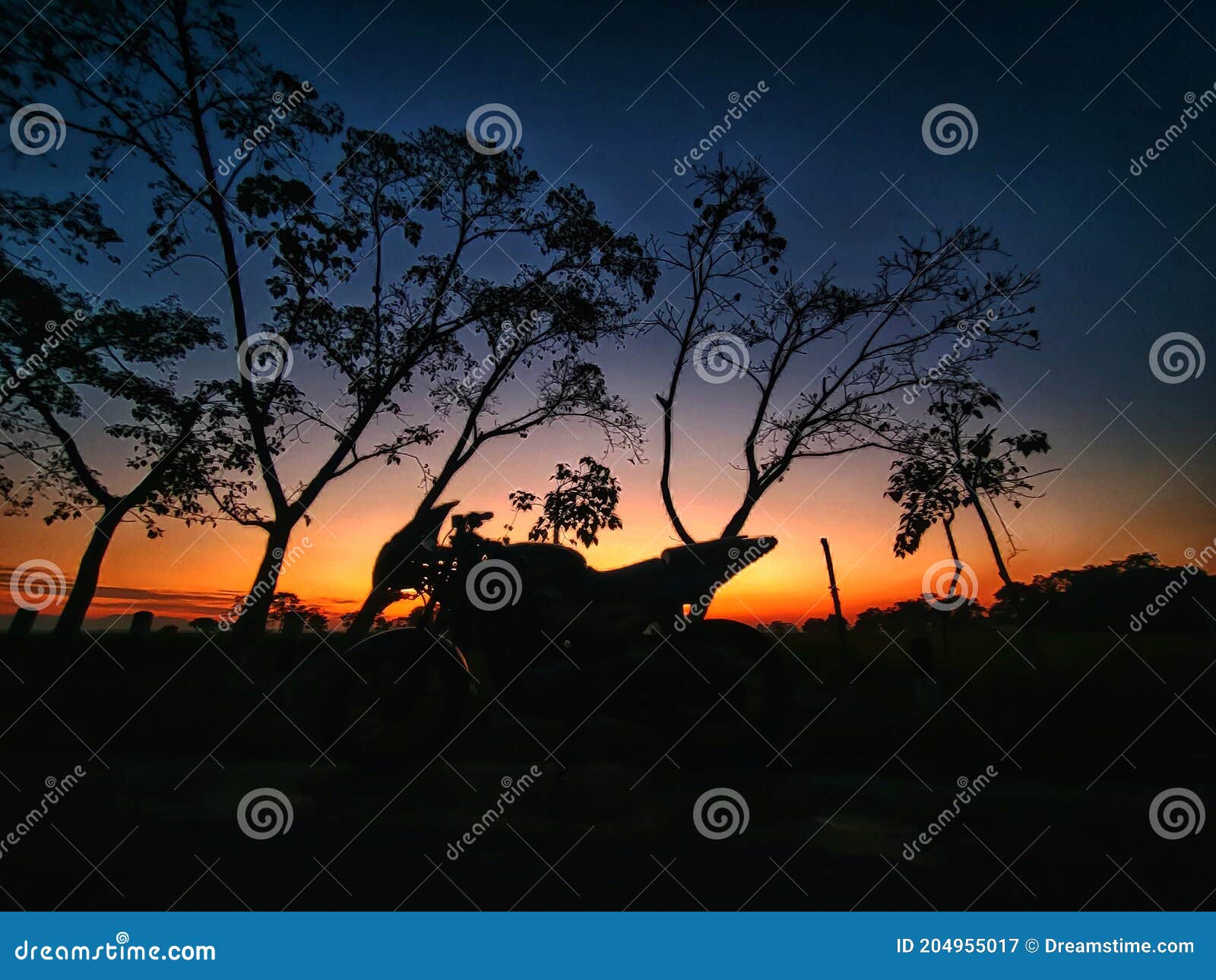 Wide Angle Mode nature stock image. Image of wide, mode - 204955017