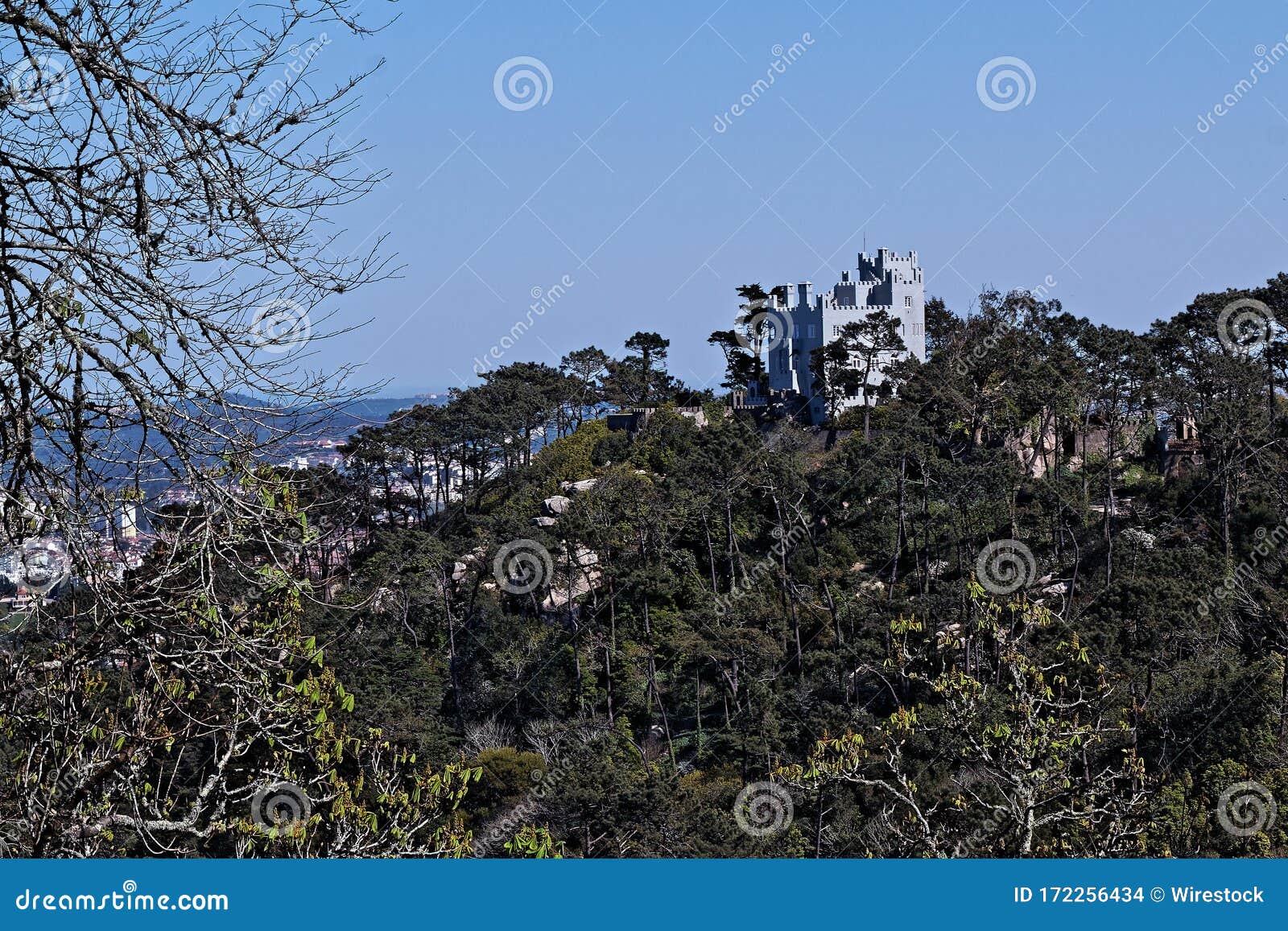Wide Angle Shot of a Building Surrounded by Trees Stock Photo - Image ...