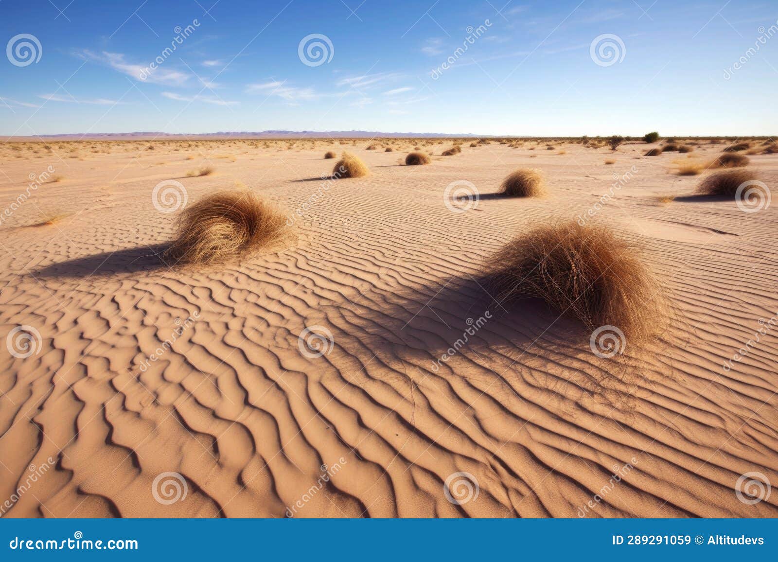 Wide-angle Shot of Multiple Tumbleweeds Rolling Across Desert Sand ...
