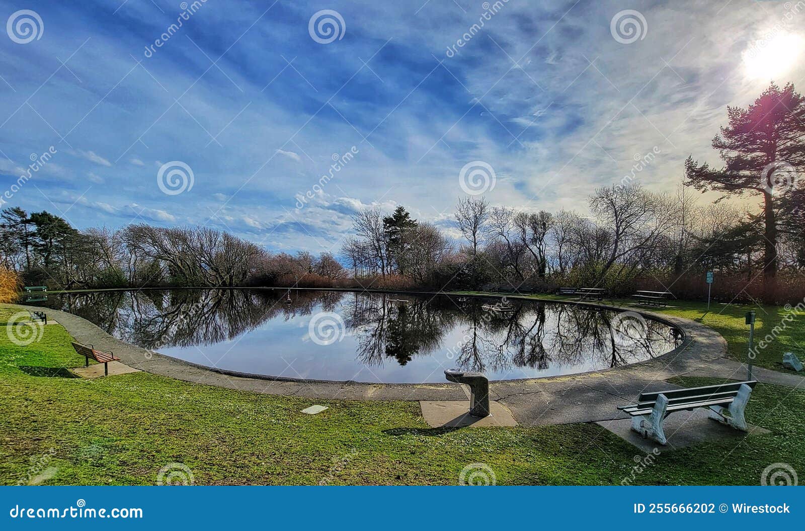 Wide-angle Shot of a Pond in an Empty Park Surrounded by Beautiful ...