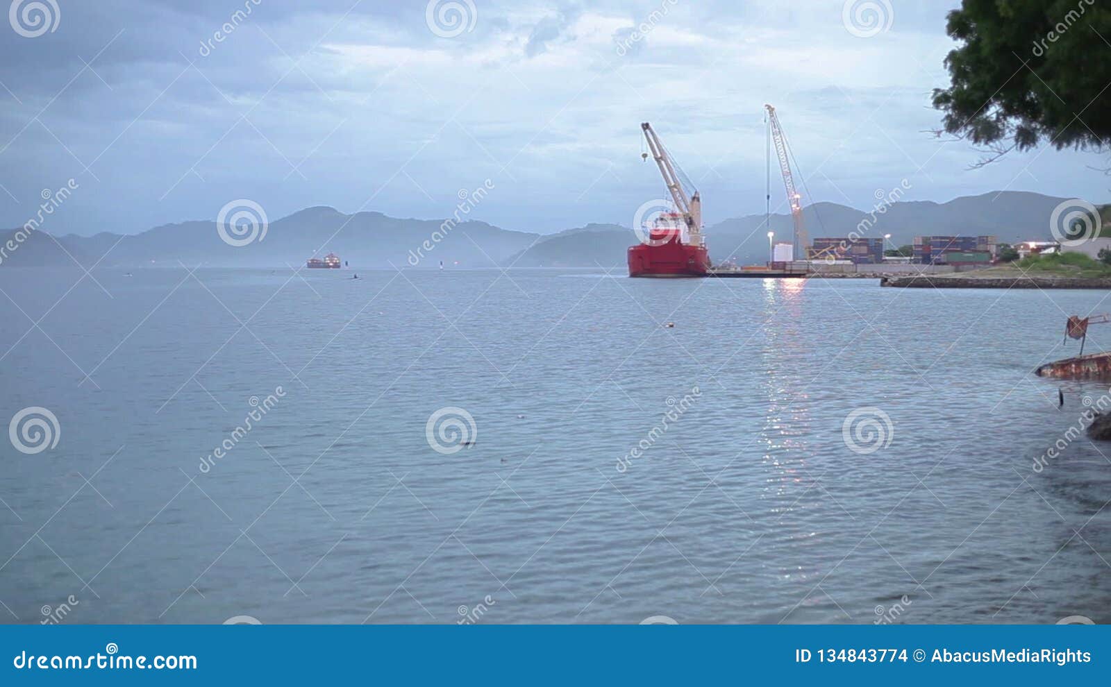 Wide Angle Shot of a Red Crane Stock Footage - Video of fishing, misty ...