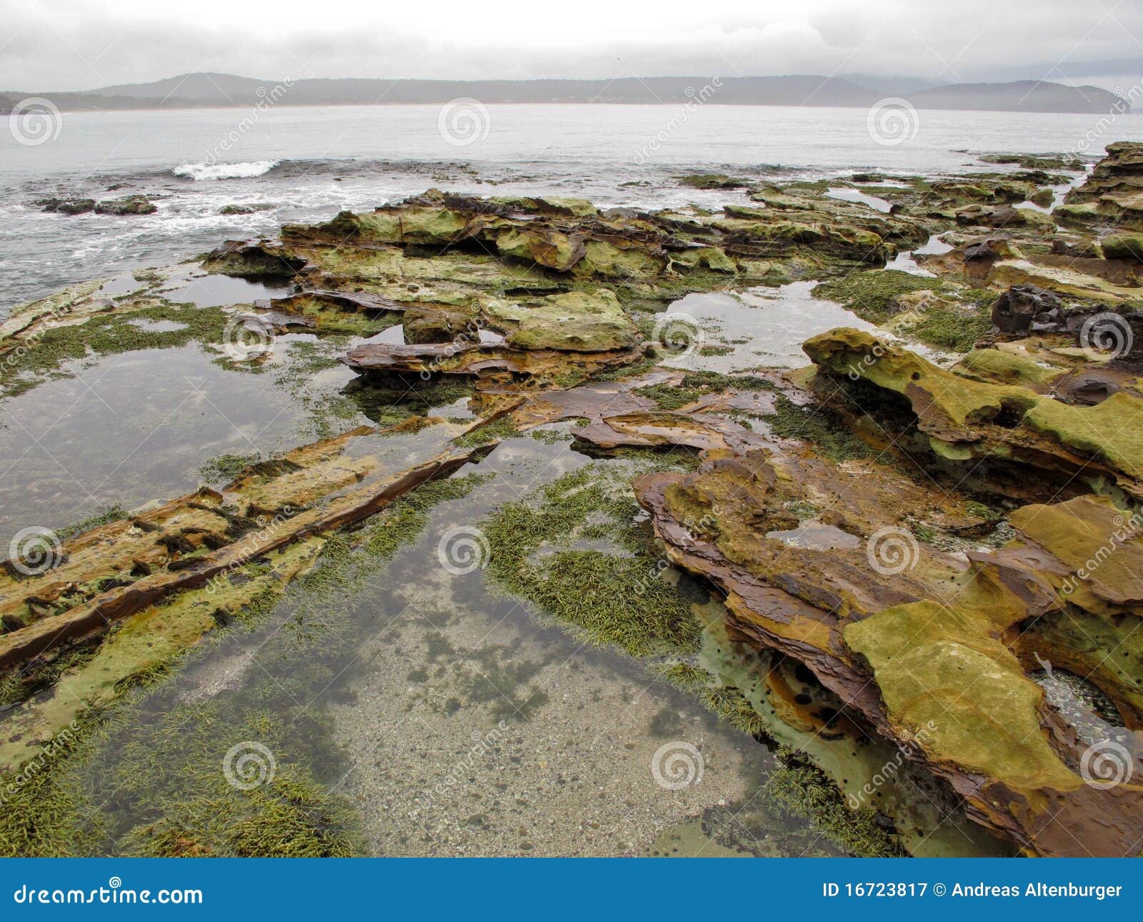 Wide Angle Shot of a Rocky Tidal Shore Stock Image - Image of strange ...