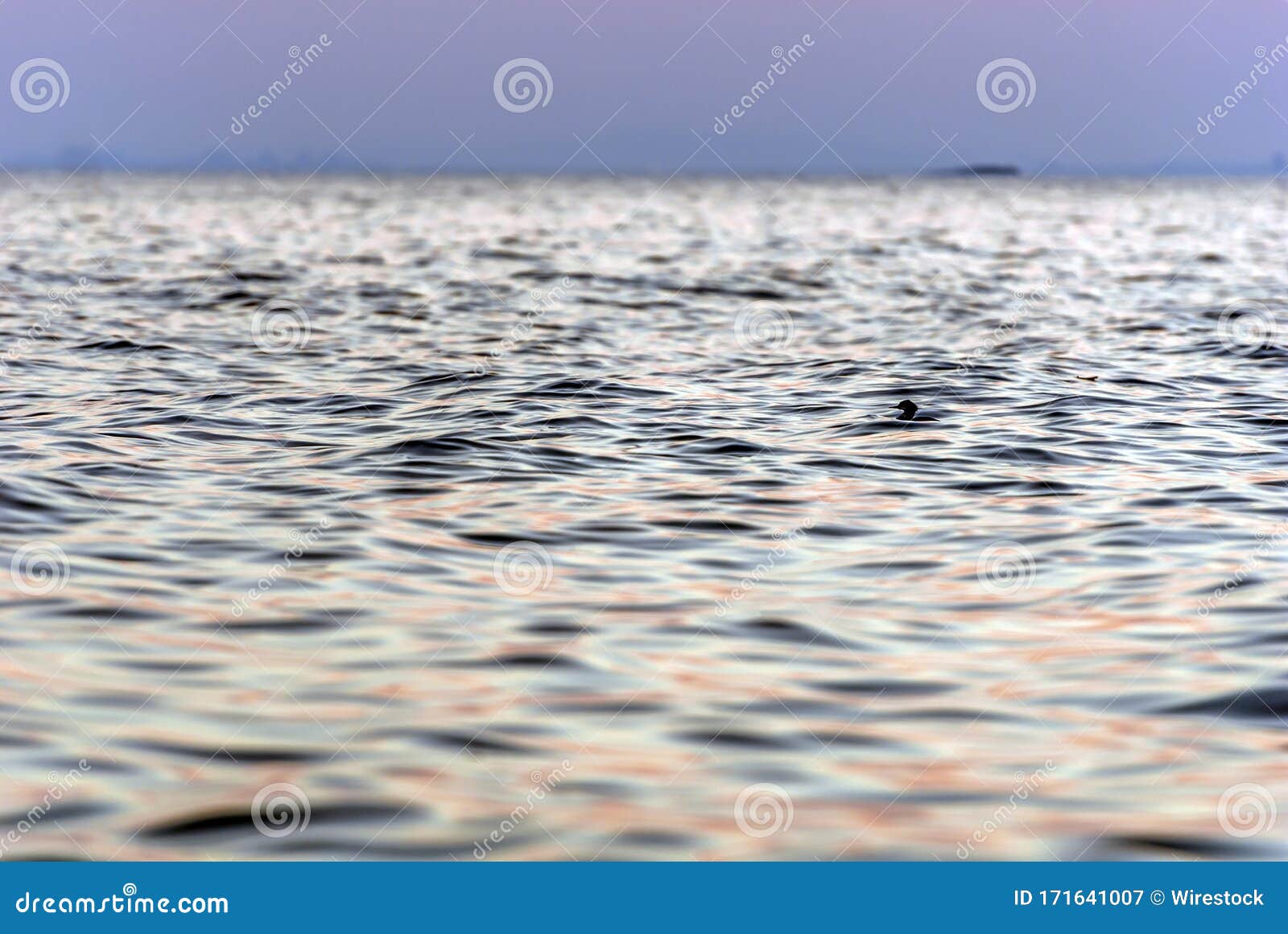 Still Ocean Waters Stock Photos - Download 697 Royalty Free Photos