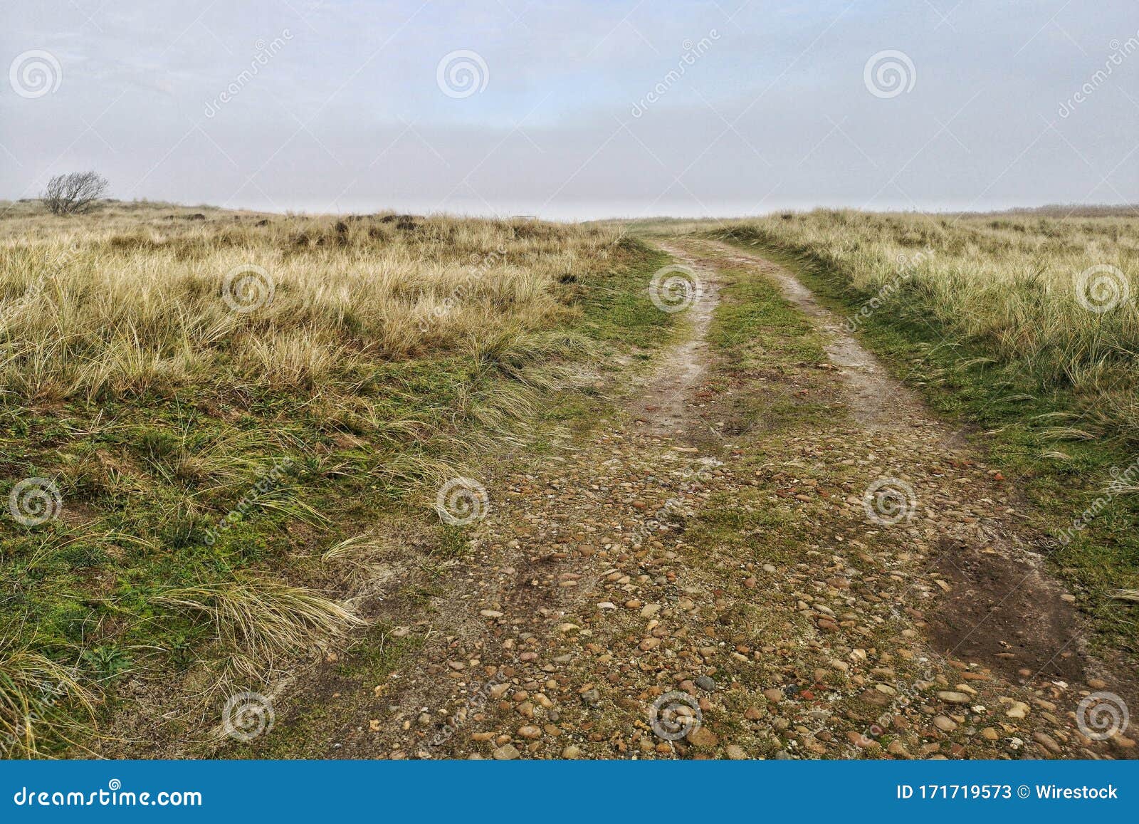Wide Angle Shot of a Walkway in the Middle of a Green Field Stock Image ...