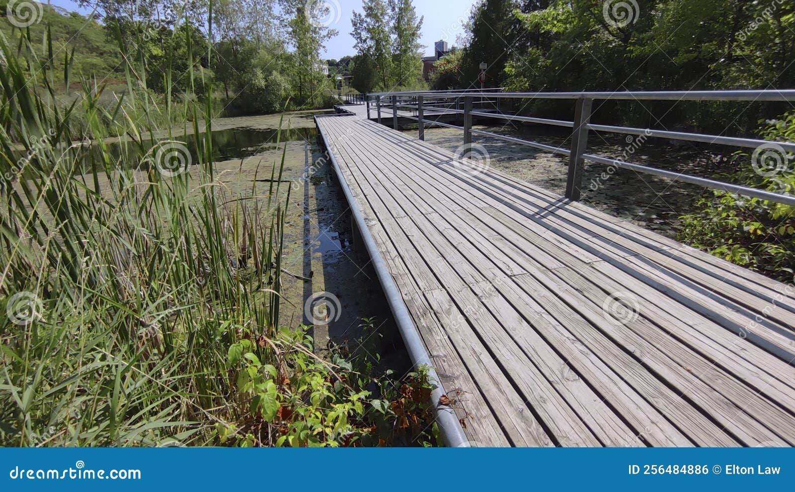 Wide Angle View of the Broad Walk Over a Pond in a Public Park Stock ...