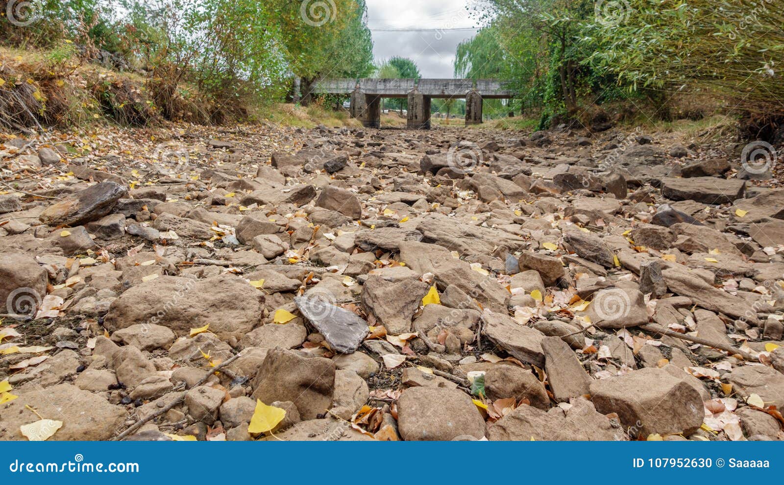 Drought River Burst and Bridge Stock Photo - Image of bridge, danger ...
