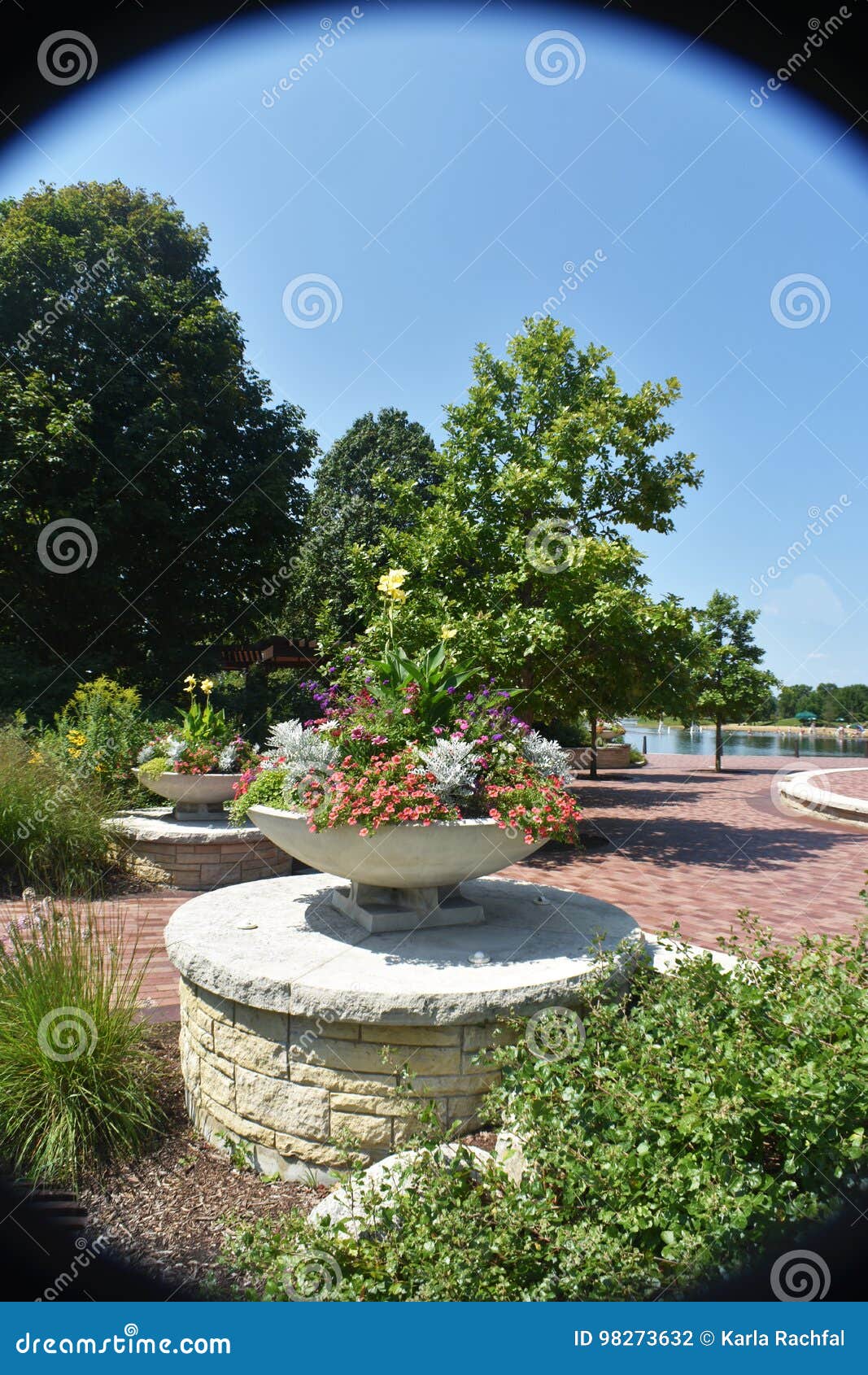 Wide Angle View of Flower Planter Stock Photo - Image of beauty, summer ...