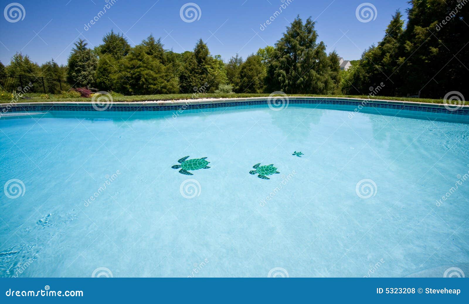 Wide Angle View Of A Garden Pool Picture. Image: 5323208