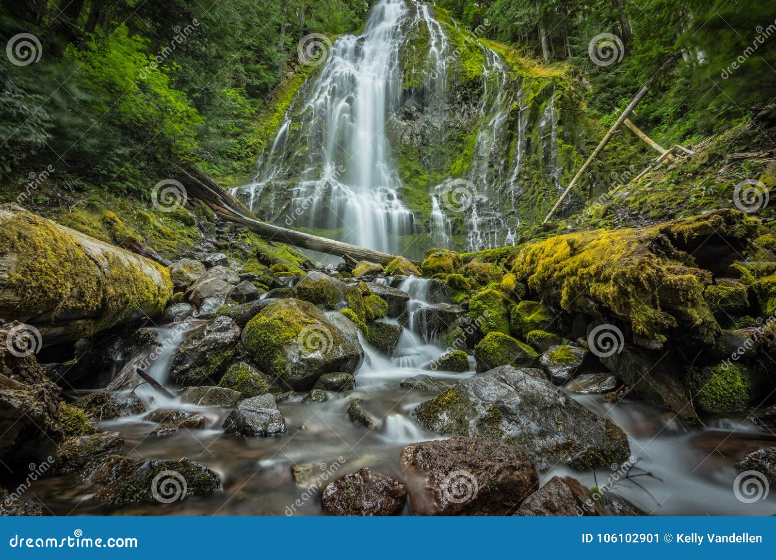 Wide Angle View of Proxy Falls from Water Level Stock Image - Image of ...