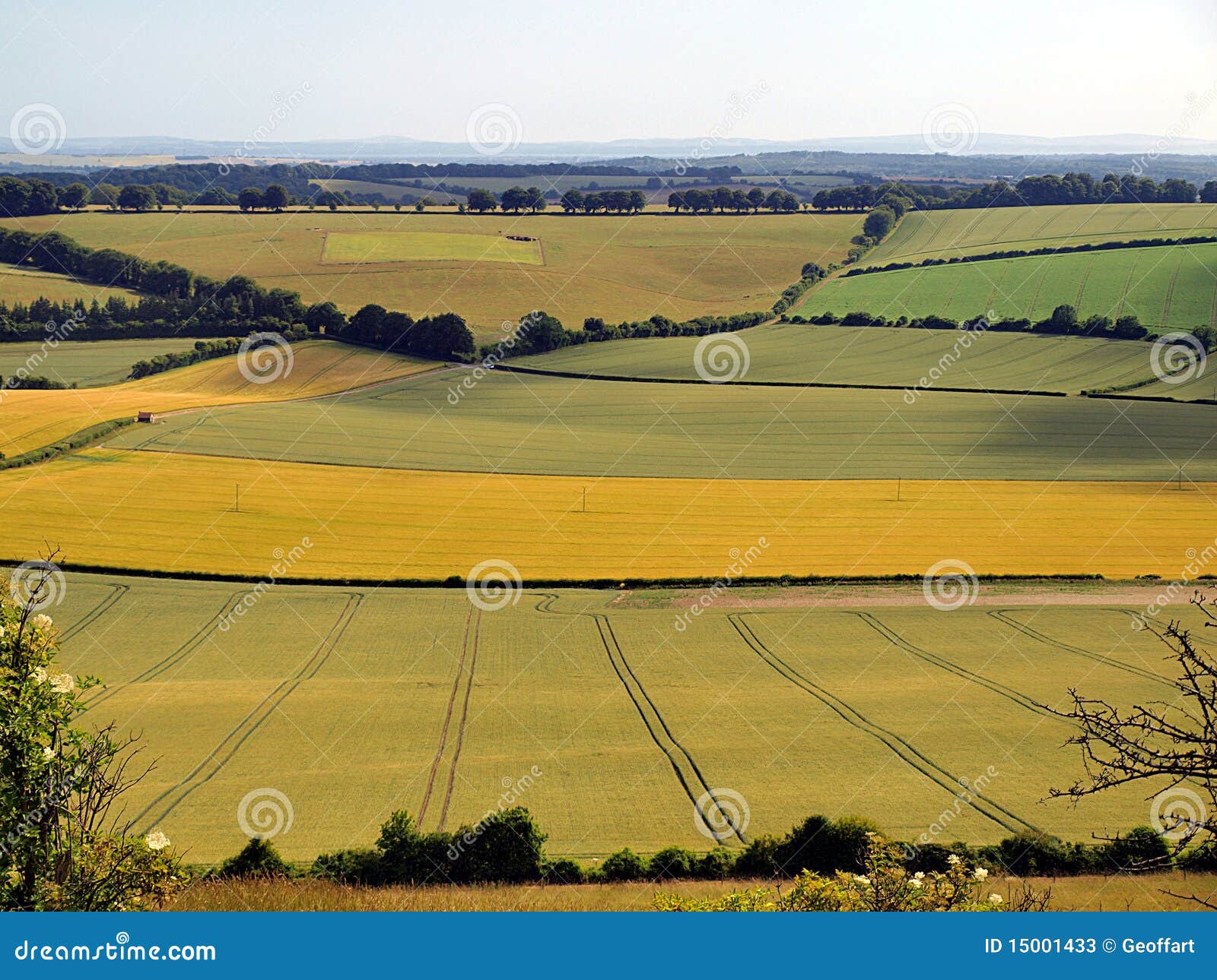 Wide-angled Field Perspective Stock Image - Image of blue, hand: 15001433
