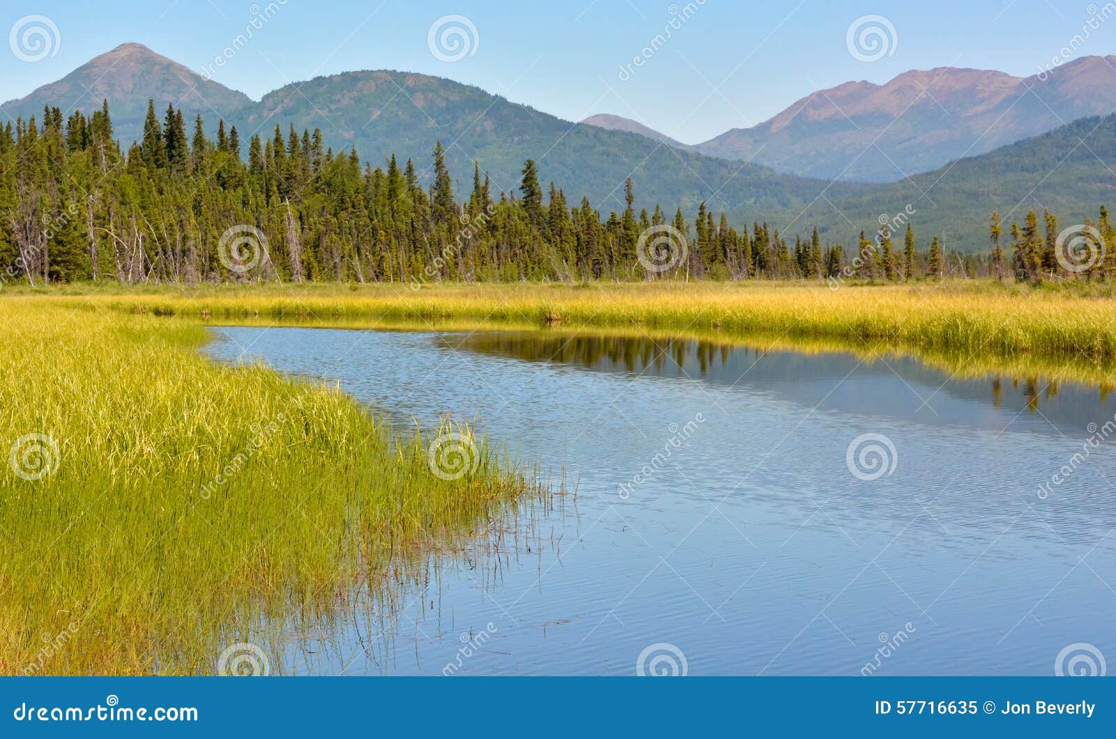 Wide Calm Stream in Mountain Valley Stock Image - Image of treeline ...