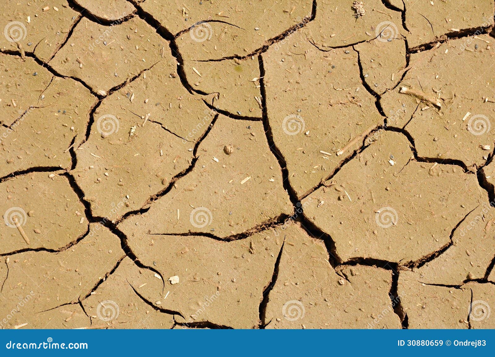 Wide Cracks in the Dried Up Ground Stock Image - Image of land ...