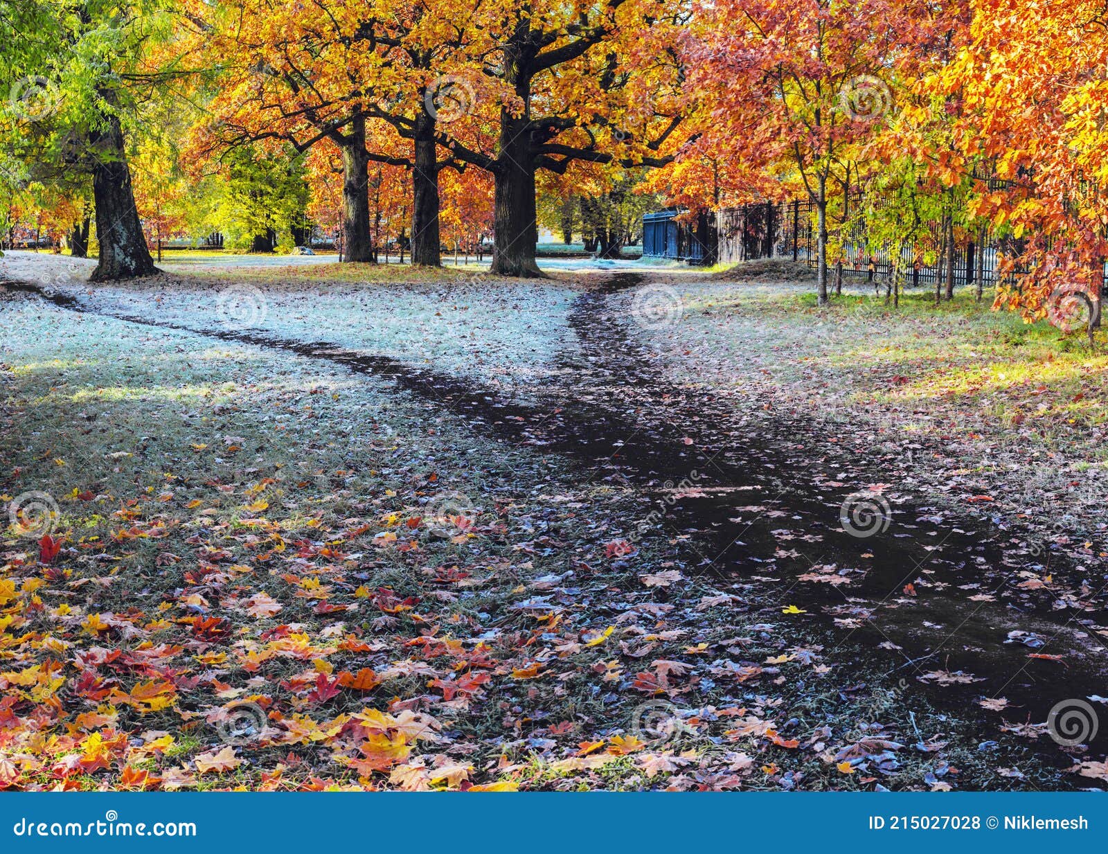 The Wide Pathway In The Grass Splits Into Two Narrow Paths Royalty-Free ...