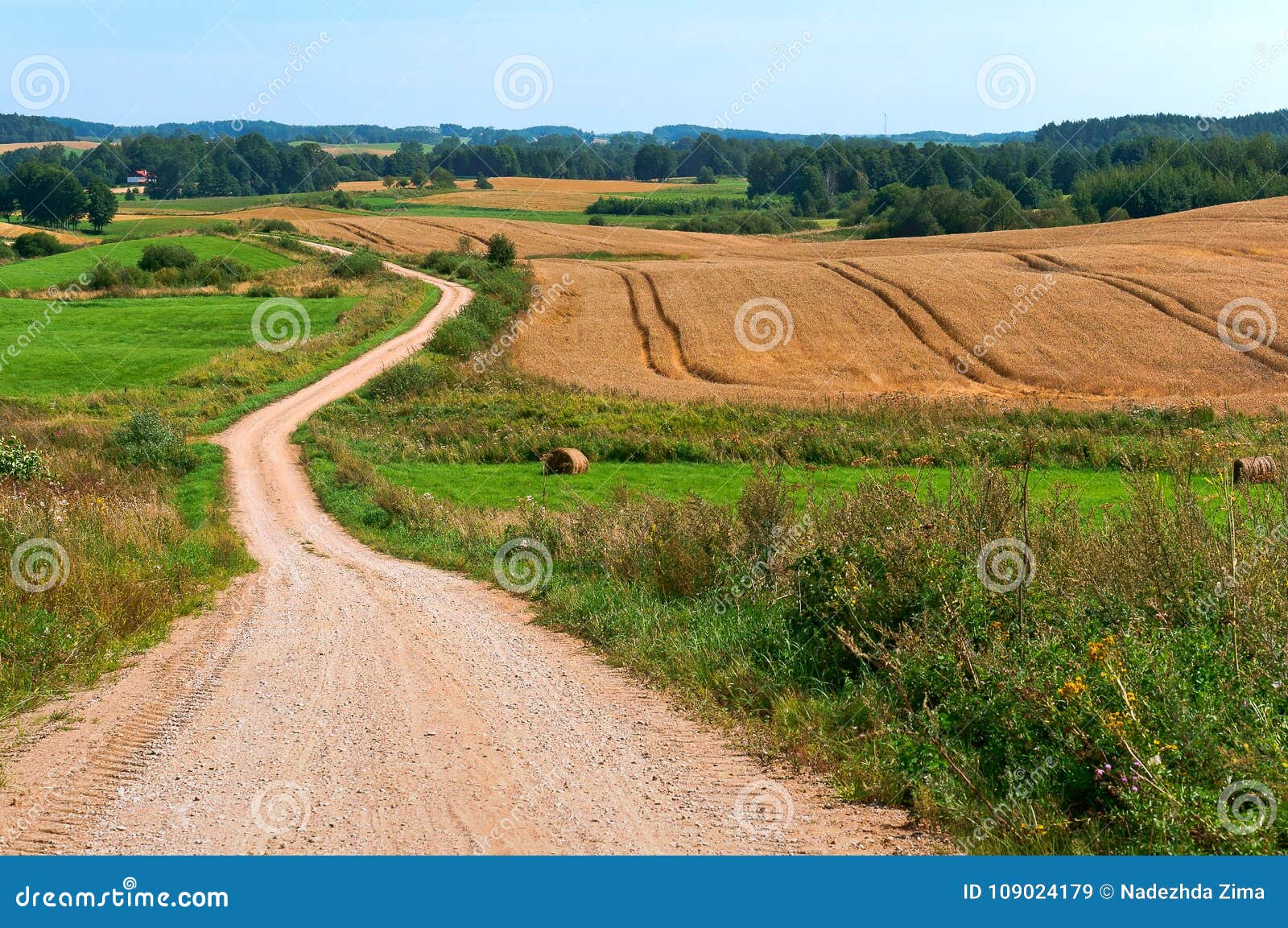 Beautiful Road in a Field, a Wide Dirt Road in a Field Stock Image ...