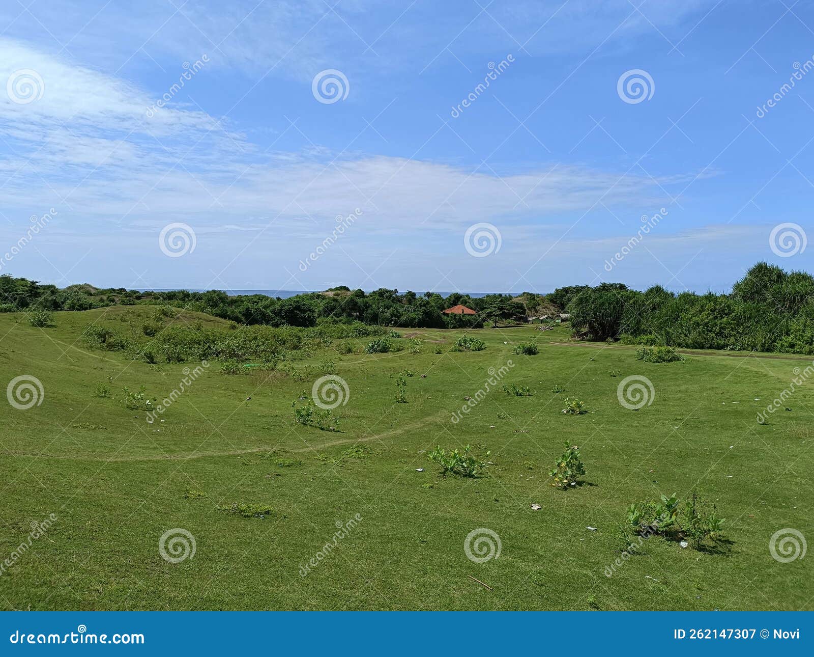 Wide Expanse of Grass, on the Hill Stock Image - Image of soil ...