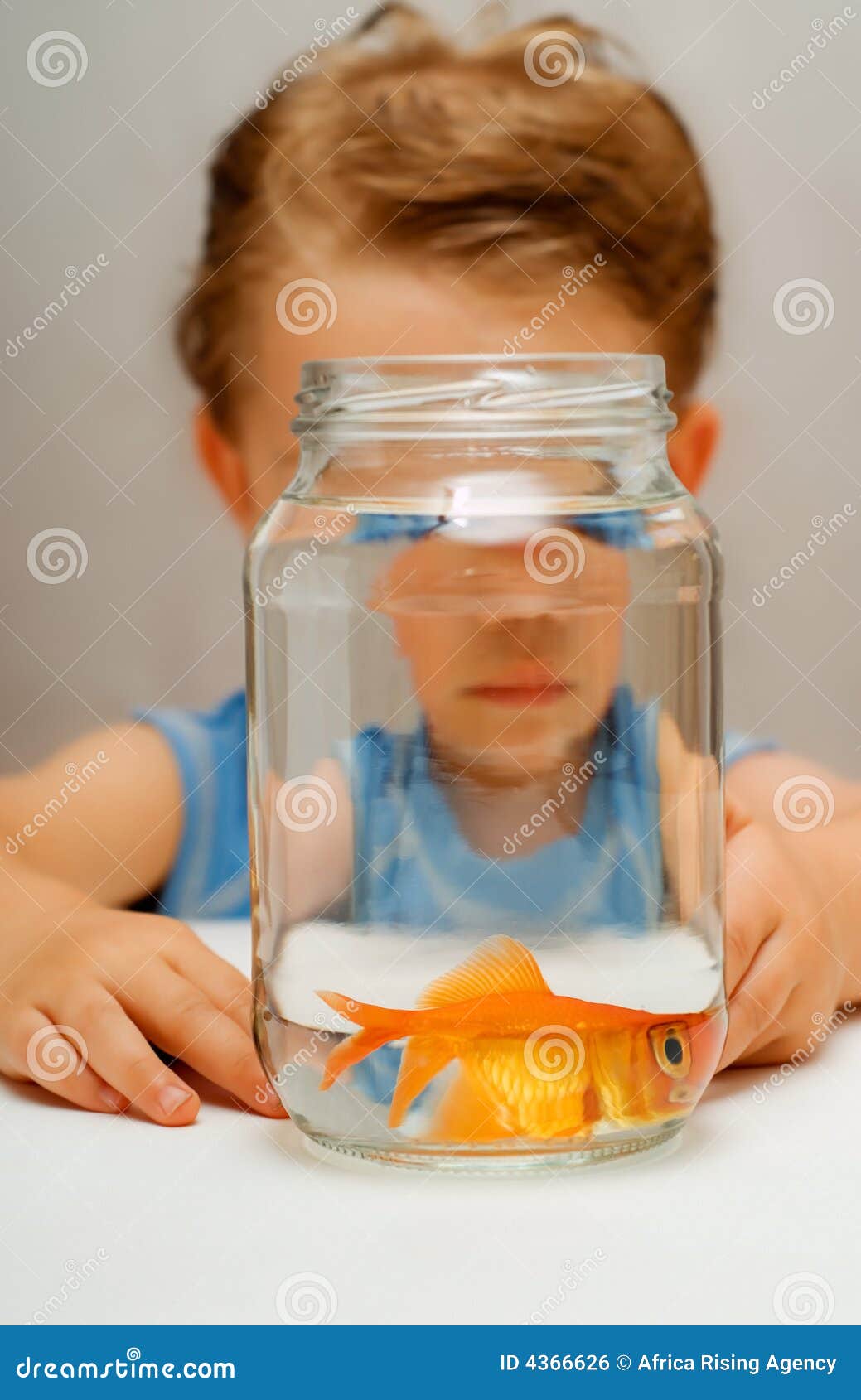 Wide eyed scared goldfish stock photo. Image of fish, abuse - 4366626