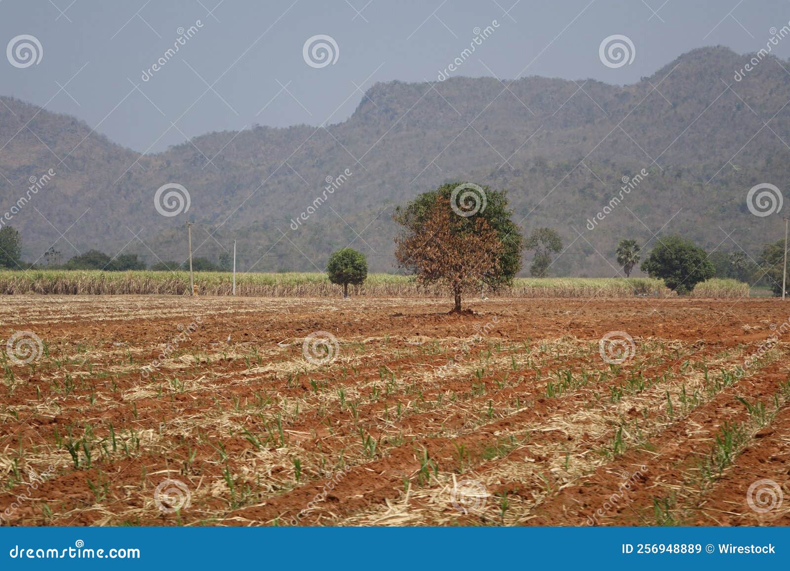 Wide Farm Field on a Gloomy Day Stock Image - Image of farm ...