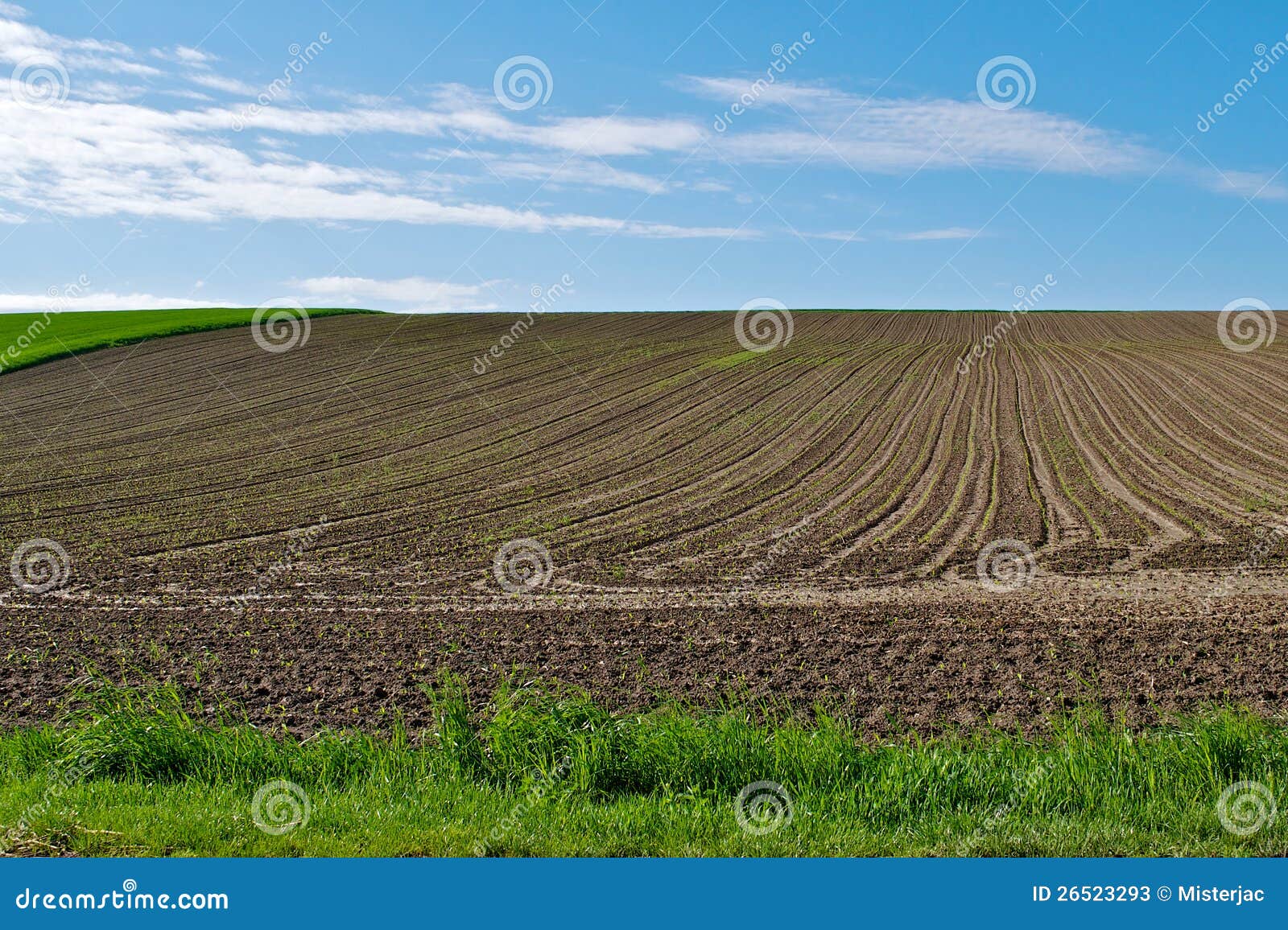 Wide field stock image. Image of germ, cloud, dough, grow - 26523293