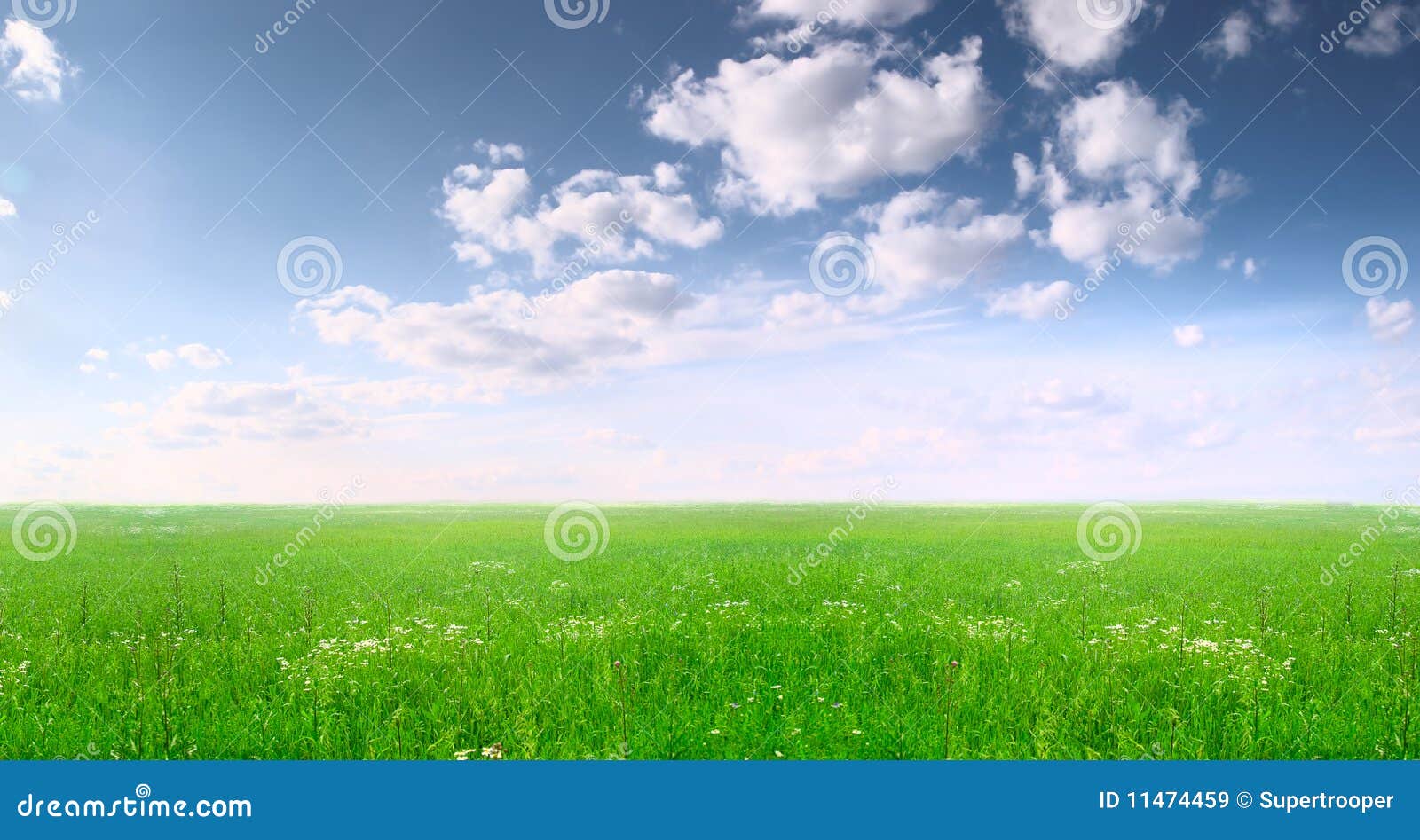 Wide field and blue sky stock image. Image of harmony - 11474459
