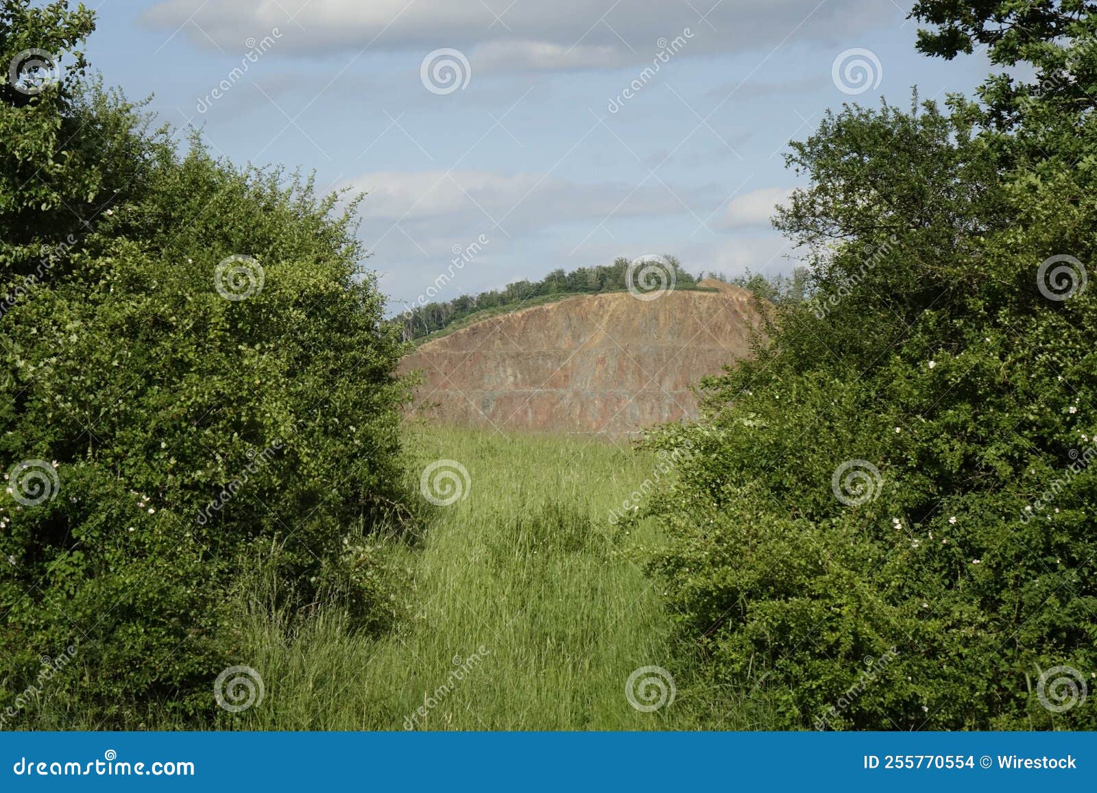Wide Field with Green Grasses on a Cloudy Day Stock Photo - Image of ...