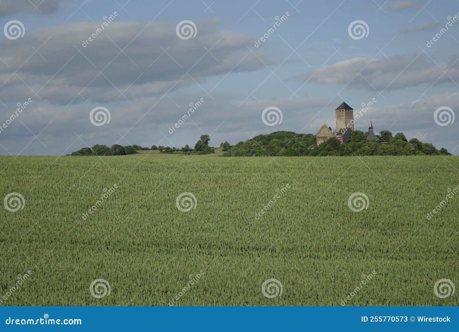 Wide Field with Green Grasses on a Cloudy Day Stock Image - Image of ...