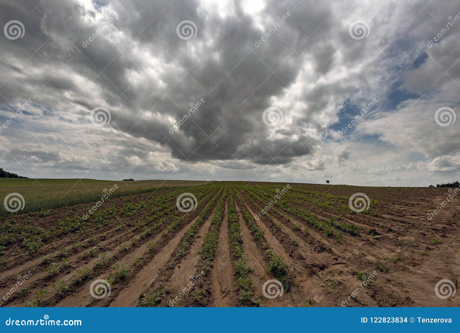 Wide Field Skyline after Rain with Dramatic Clouds Stock Photo - Image ...