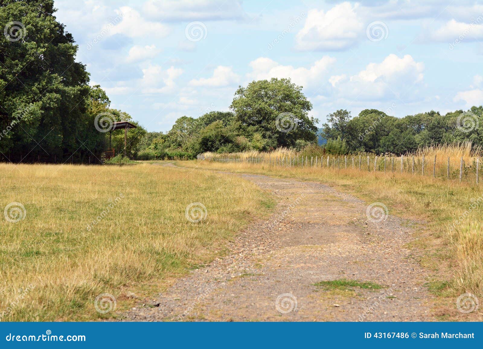 Wide Footpath Leads into the Distance Stock Photo - Image of path ...