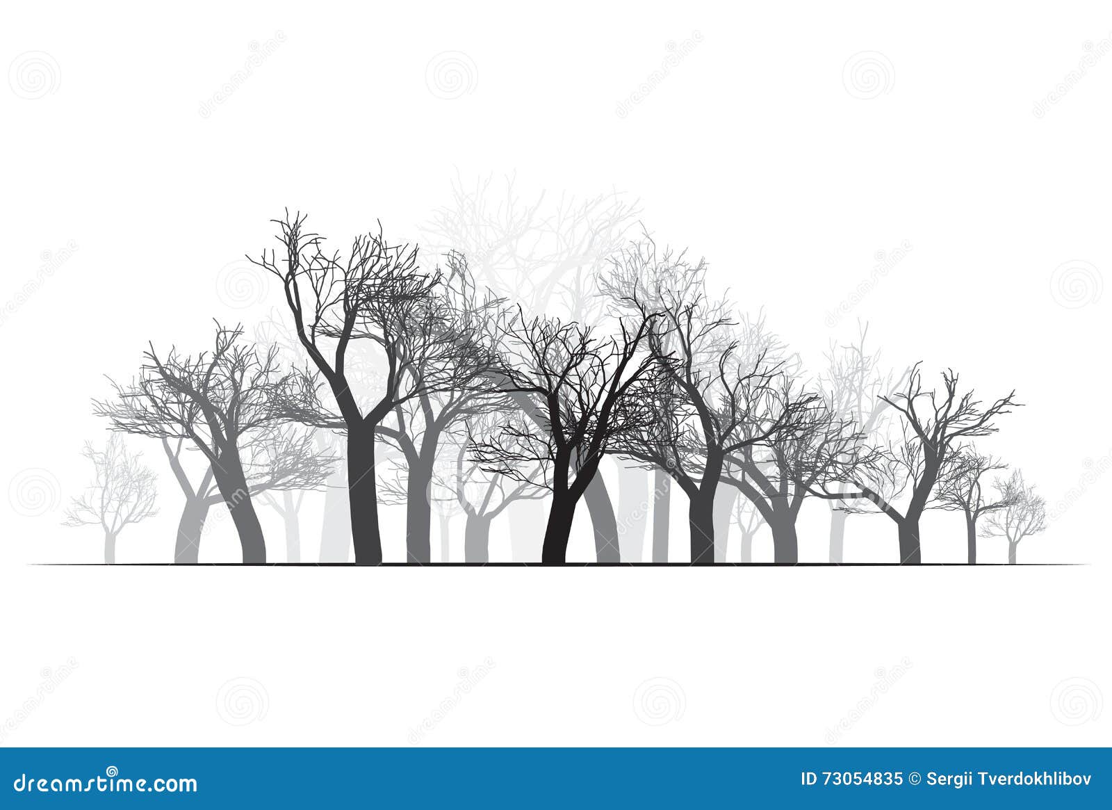 Wide Forest Background - Vector Illustration Stock Vector ...