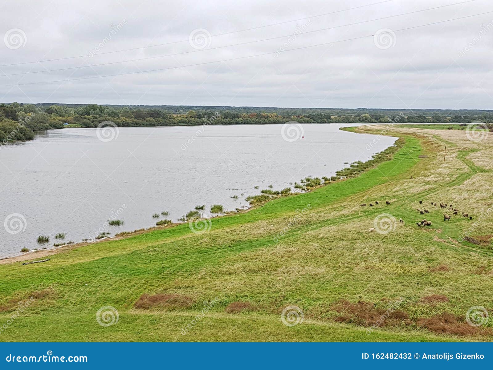 The Wide, Full-flowing Volkhov River with Green Banks Flows Along the ...