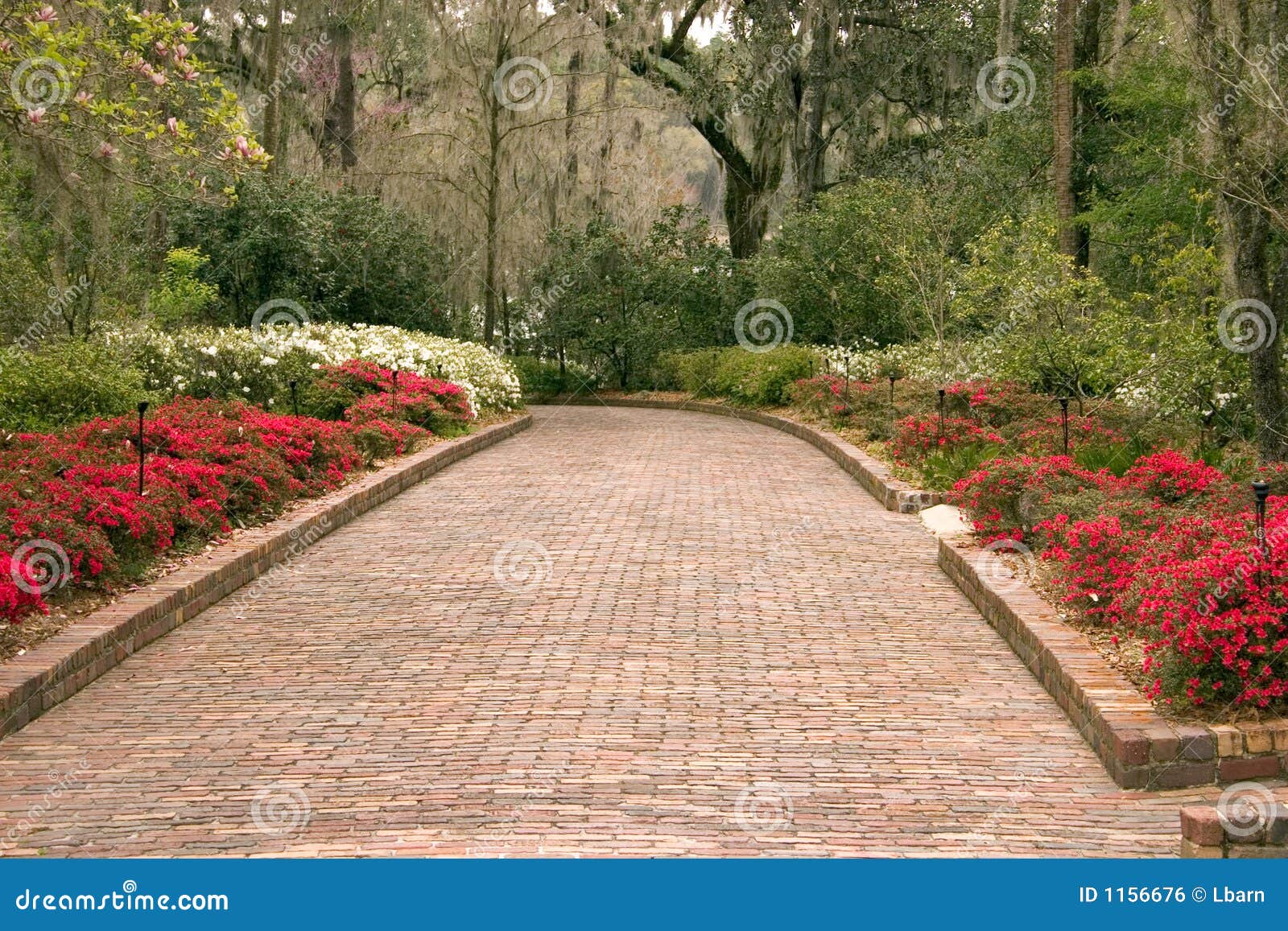 Wide garden walkway stock photo. Image of calming, brick - 1156676