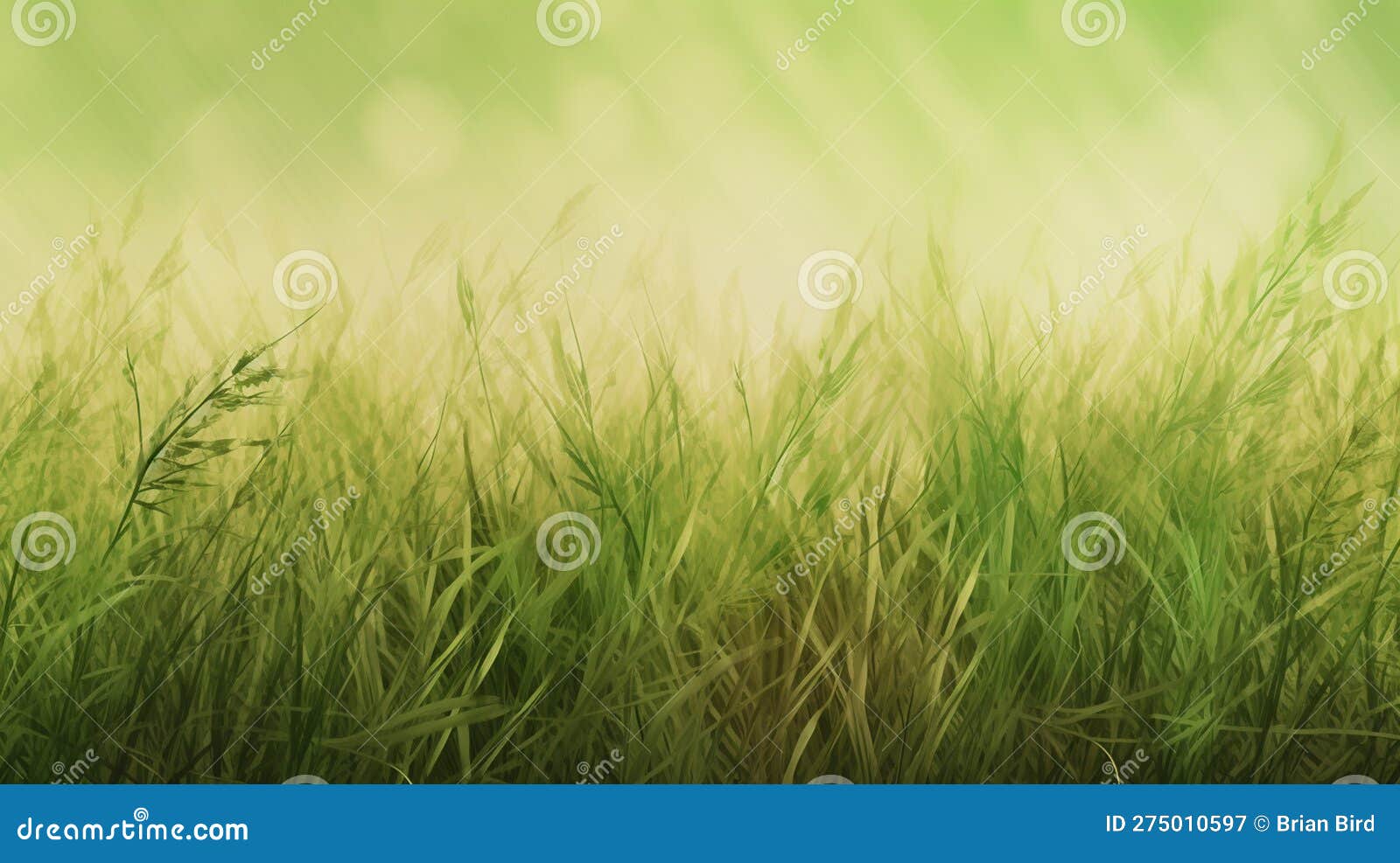 Wide Grass Textured Banner Background Generative AI Stock Illustration ...