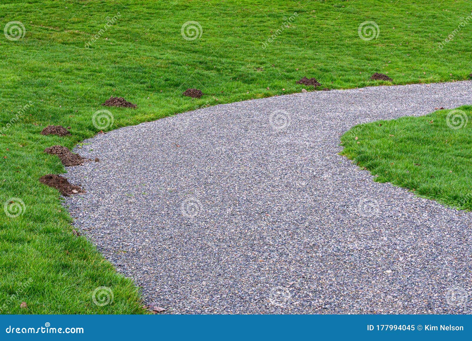 Wide Gravel Path Curved through Grass and Lined by Mole Hills Stock ...