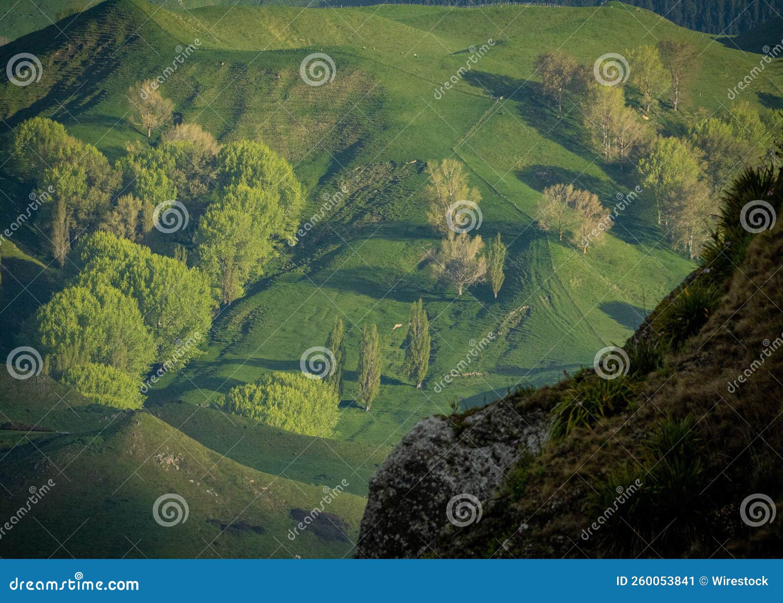 Wide Green Field and Trees in the Mountain Stock Image - Image of cloud ...