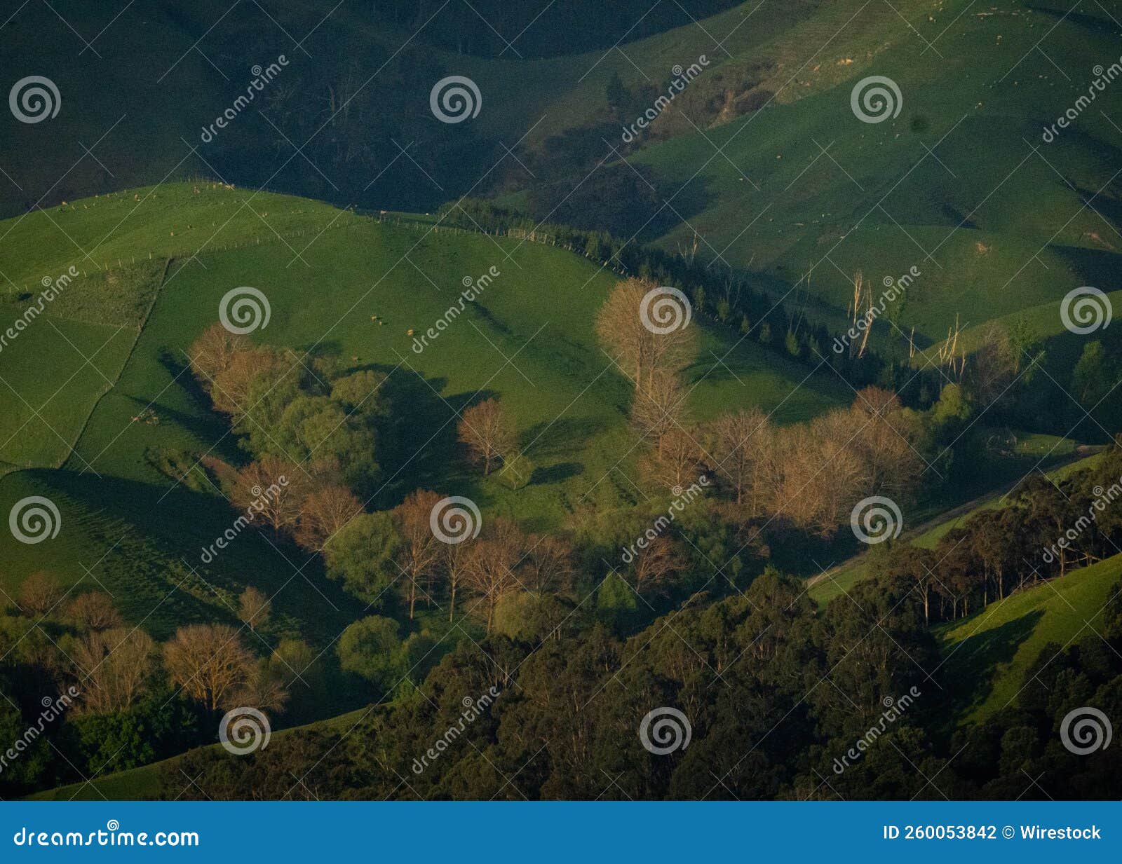 Wide Green Field and Trees in the Mountain Stock Photo - Image of ...
