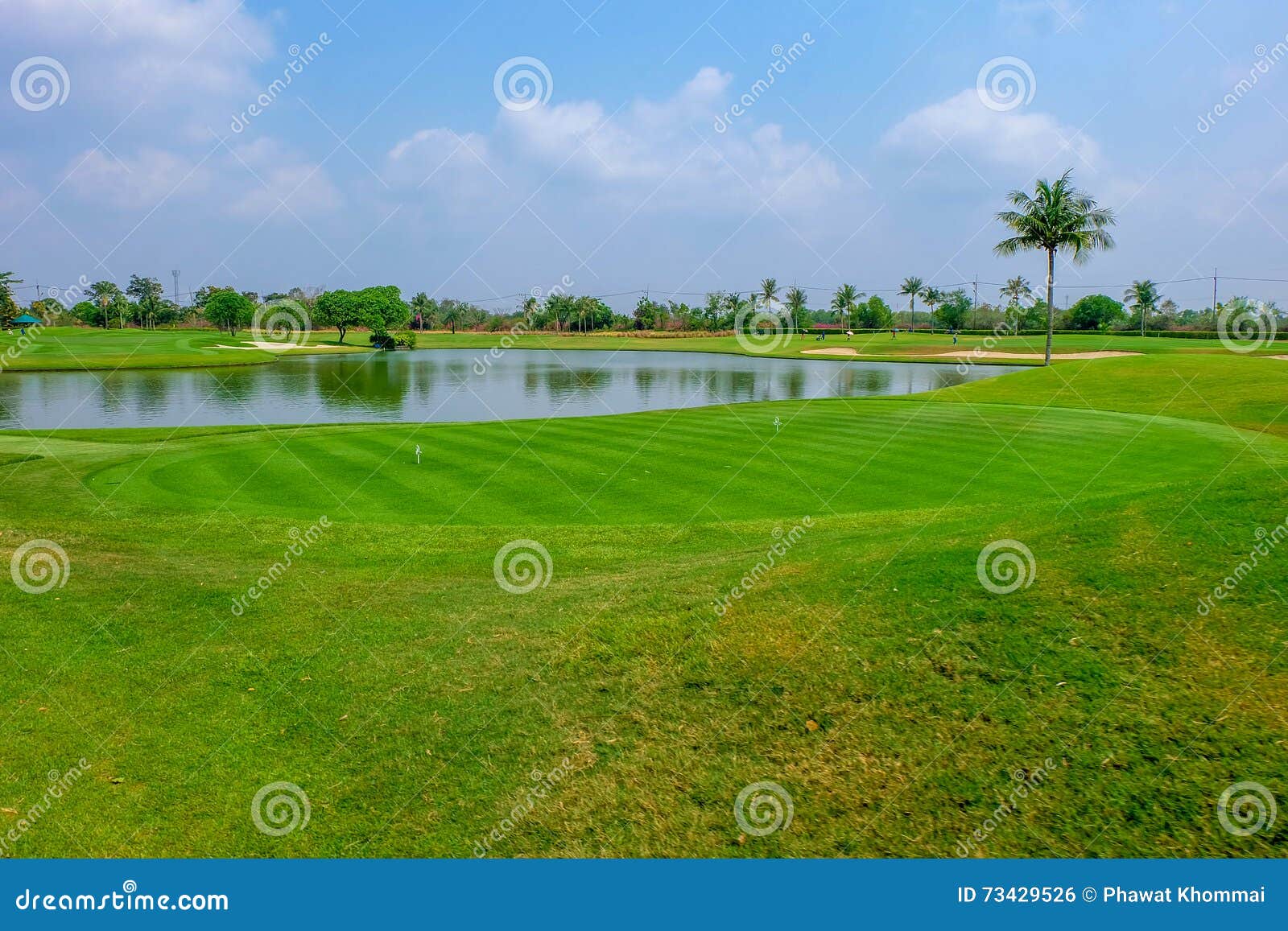Wide green lawns stock photo. Image of game, land, landscaped - 73429526