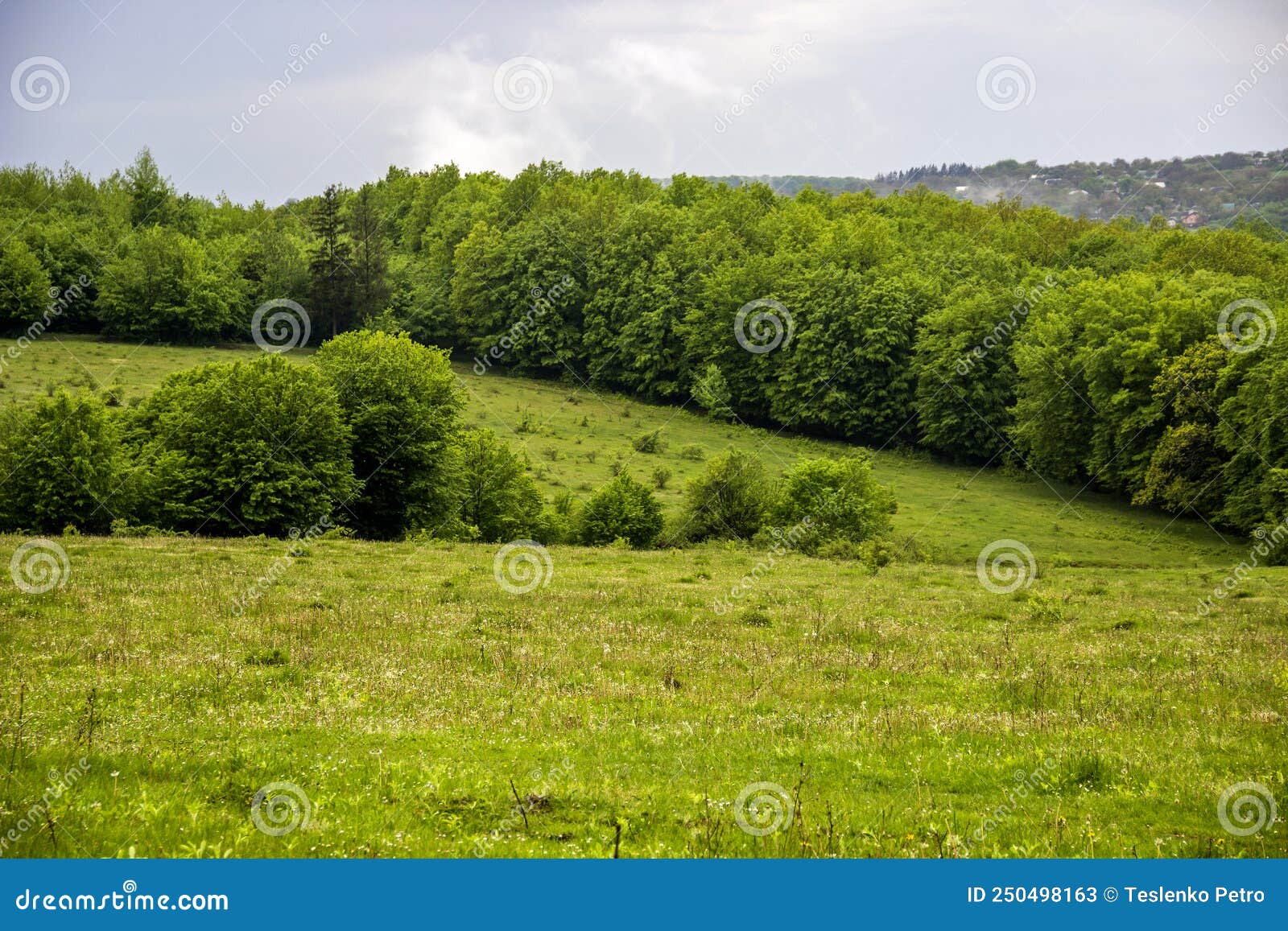 A wide green meadow stock image. Image of cloudy, outdoor - 250498163