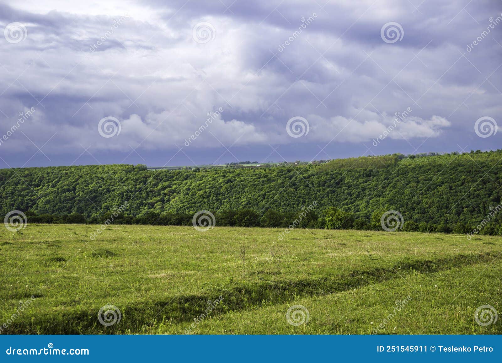 A wide green meadow stock image. Image of blue, outdoor - 251545911