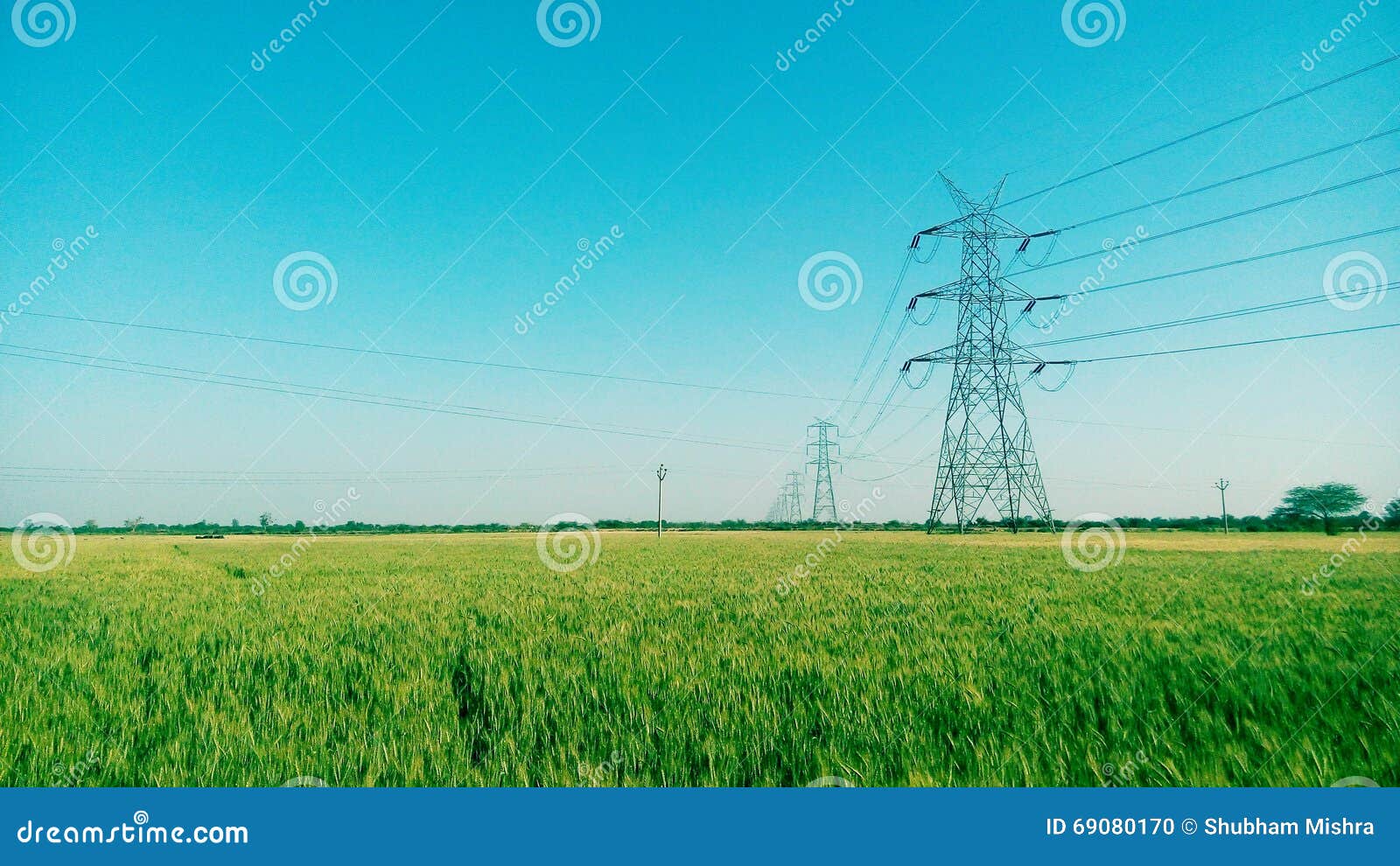 Wide Green stock photo. Image of green, wide, nature - 69080170