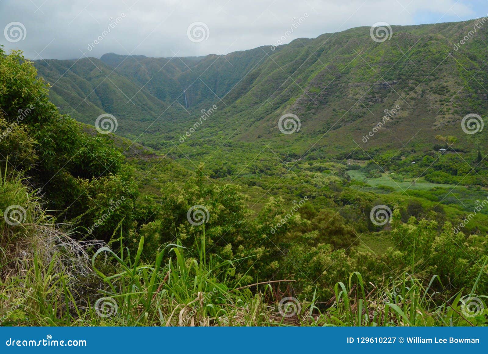 Wide Halawa Valley on Molokai Stock Image - Image of valley, vegetation ...