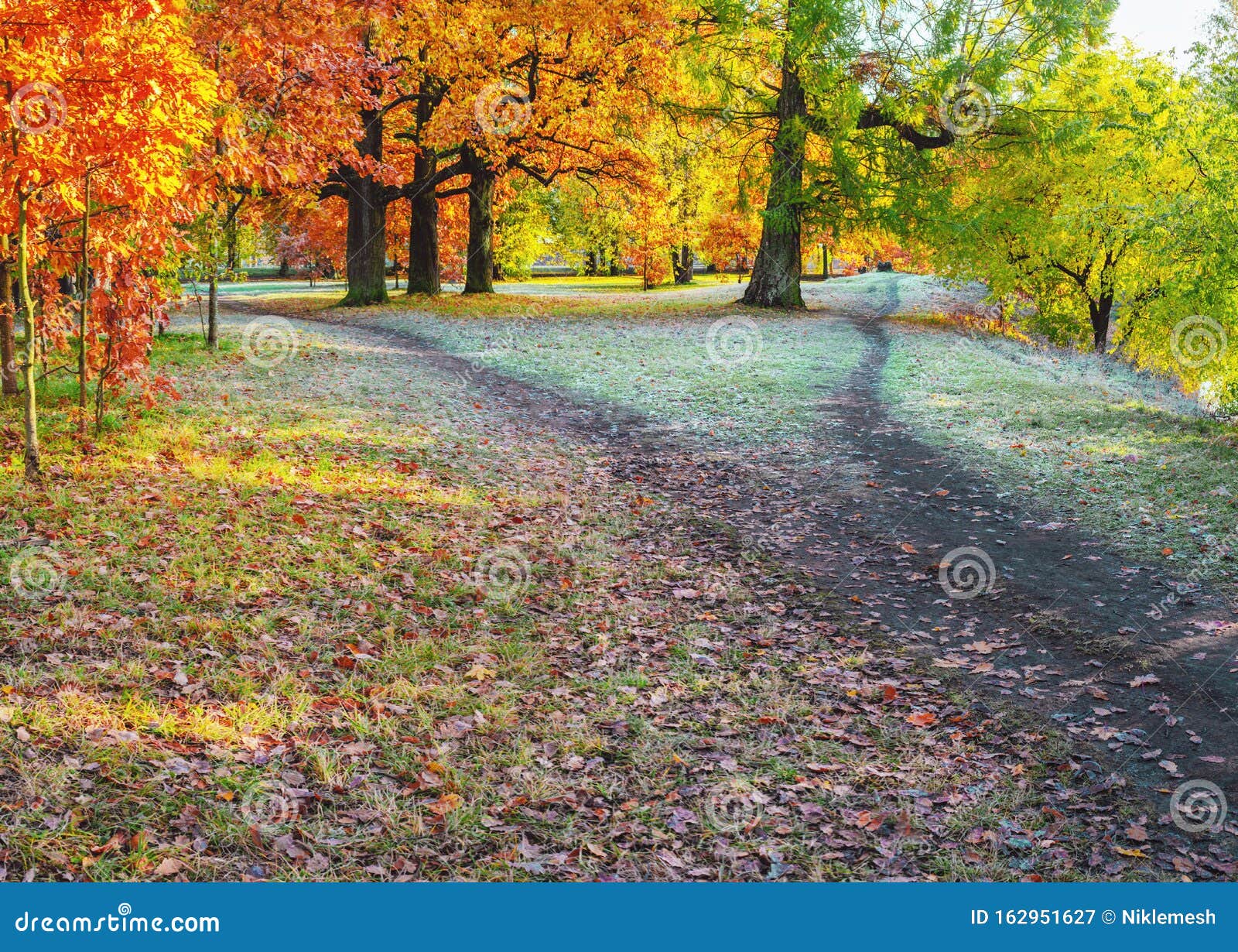 Wide Hiking Trail in the Park is Divided into Two Narrow, Diverging in ...