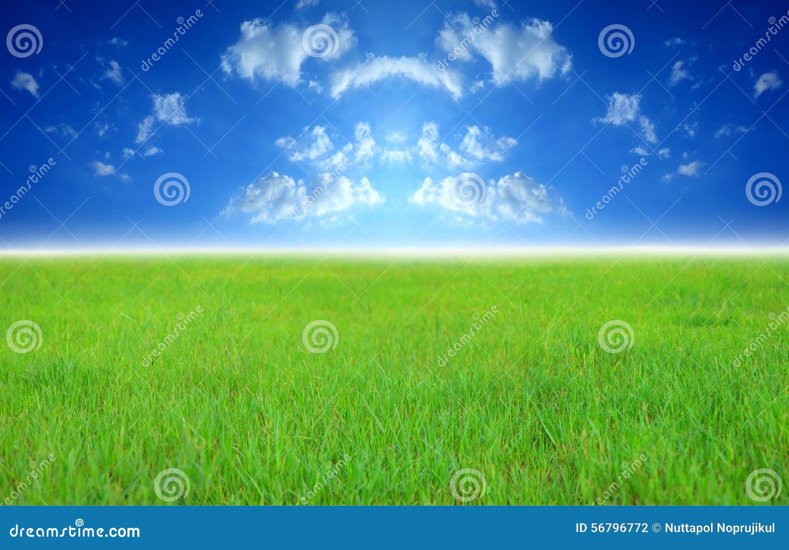 Wide Image of Green Grass Field and Bright Blue Sky Stock Photo - Image ...