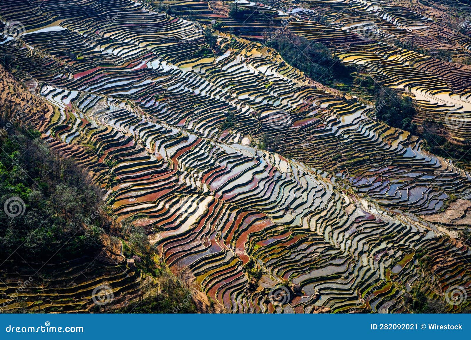 Wide Landscape Featuring an Array of Rolling, Yuan Yang Terraces with ...
