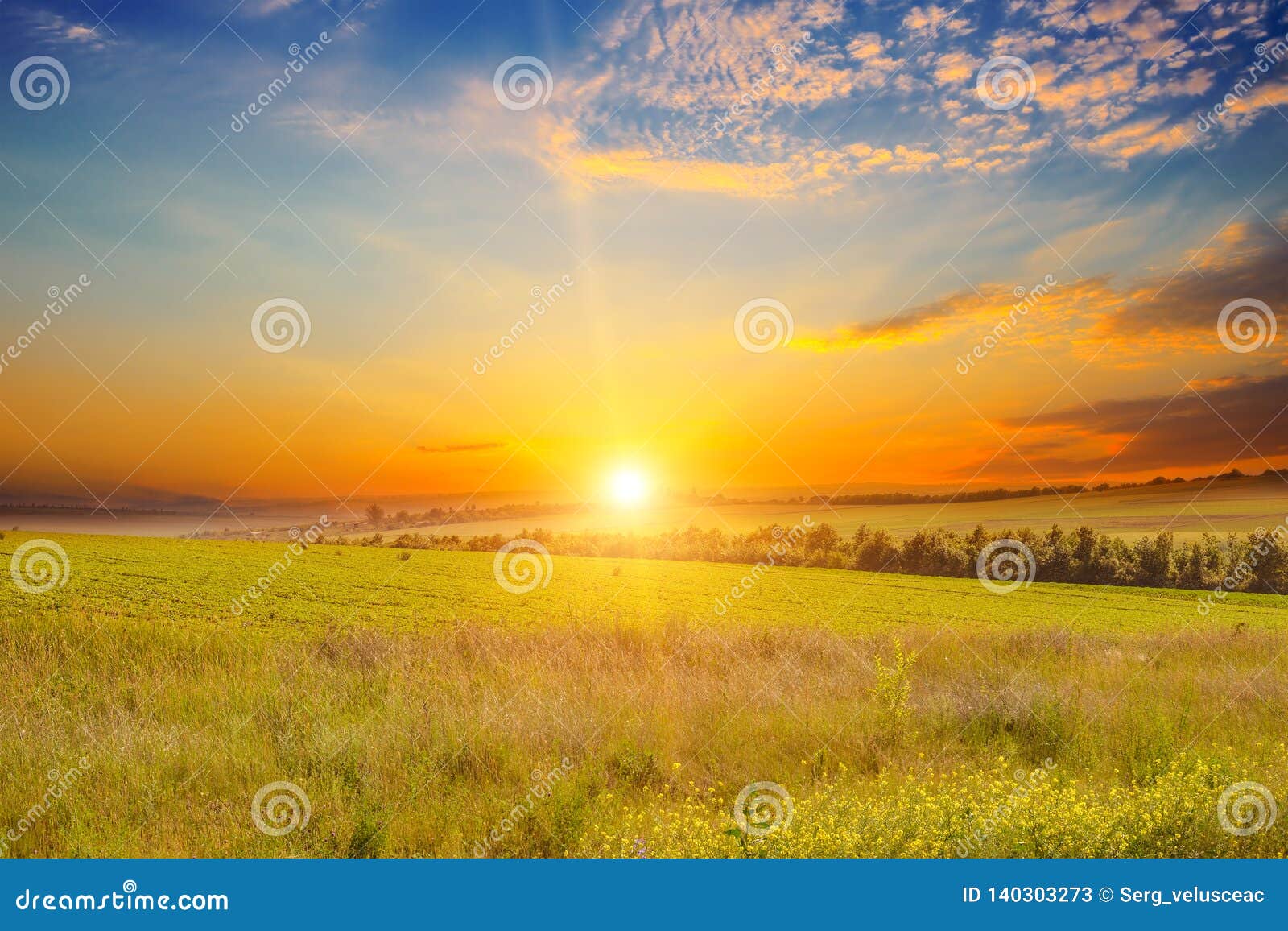 Wide Landscape Green Field and Sunset Stock Image - Image of corn ...