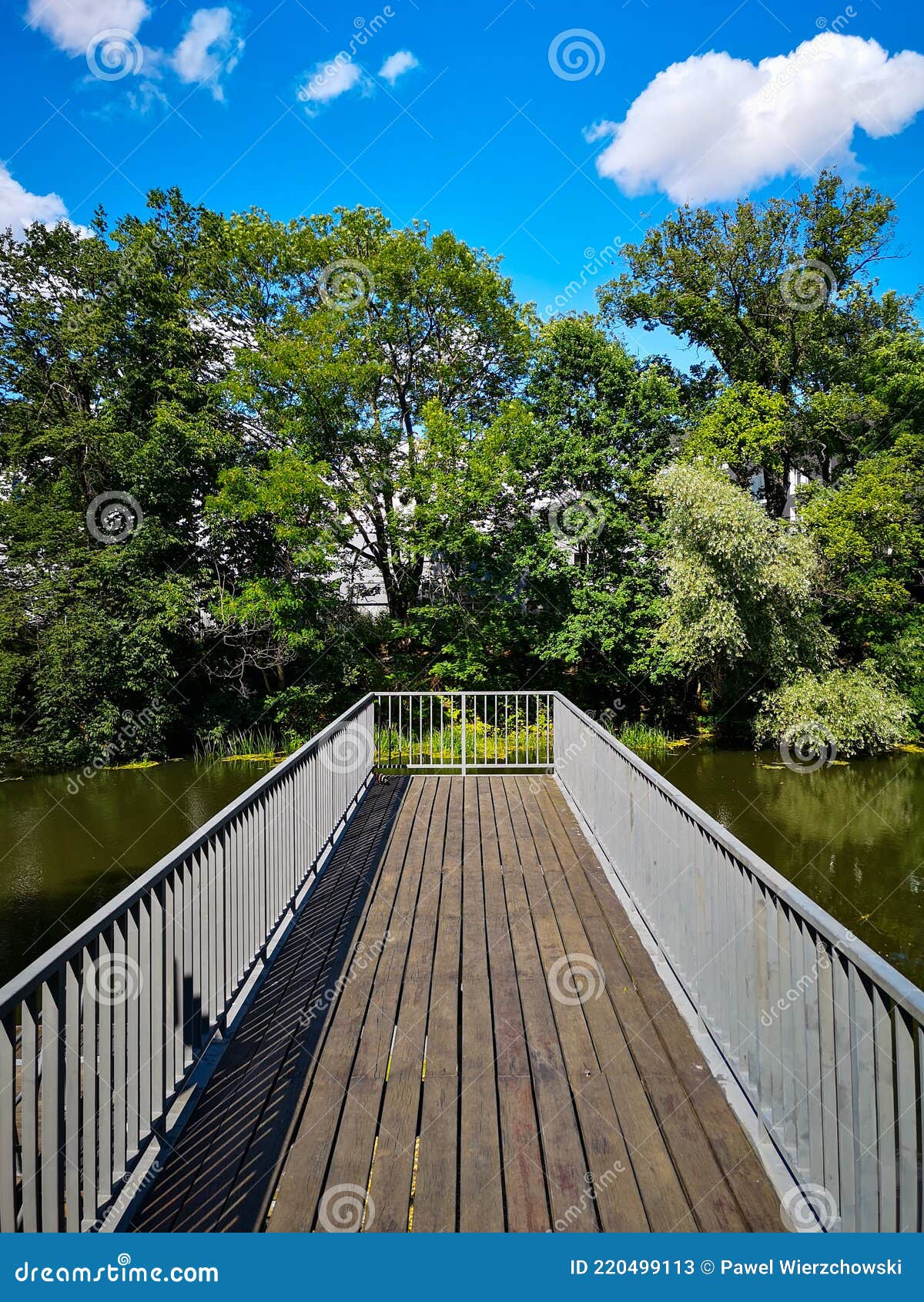 Wide Long Wooden Platform Over River at Sunny Day Stock Image - Image ...