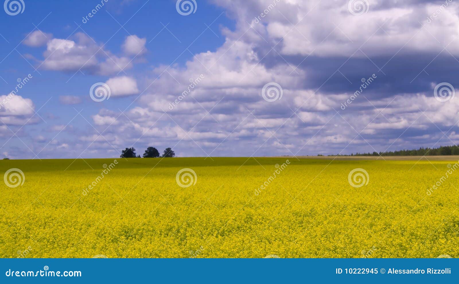 Wide open countryside stock image. Image of nature, scenery - 10222945