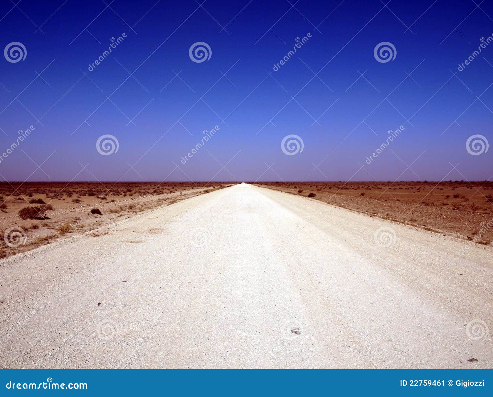 Open Dirt Road In Green Forest In Wetland Royalty-Free Stock ...