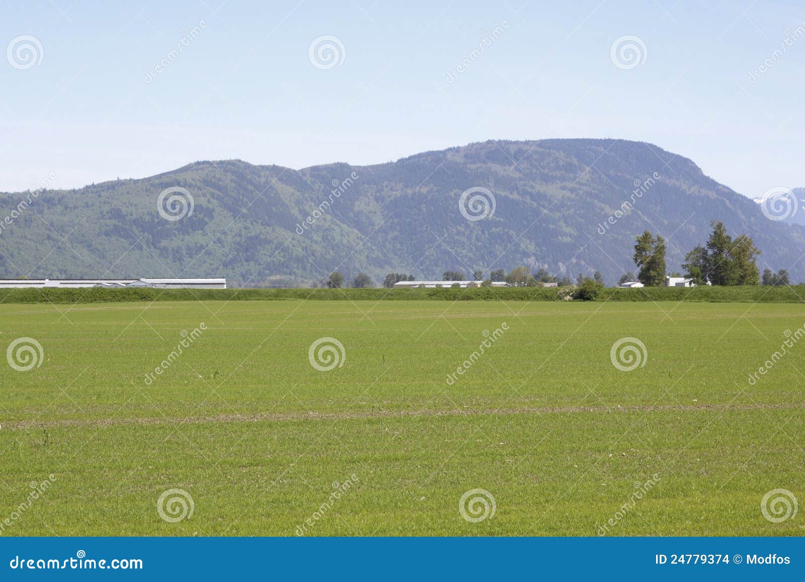 Wide Open Farmland in the Fraser Valley Stock Photo - Image of land ...