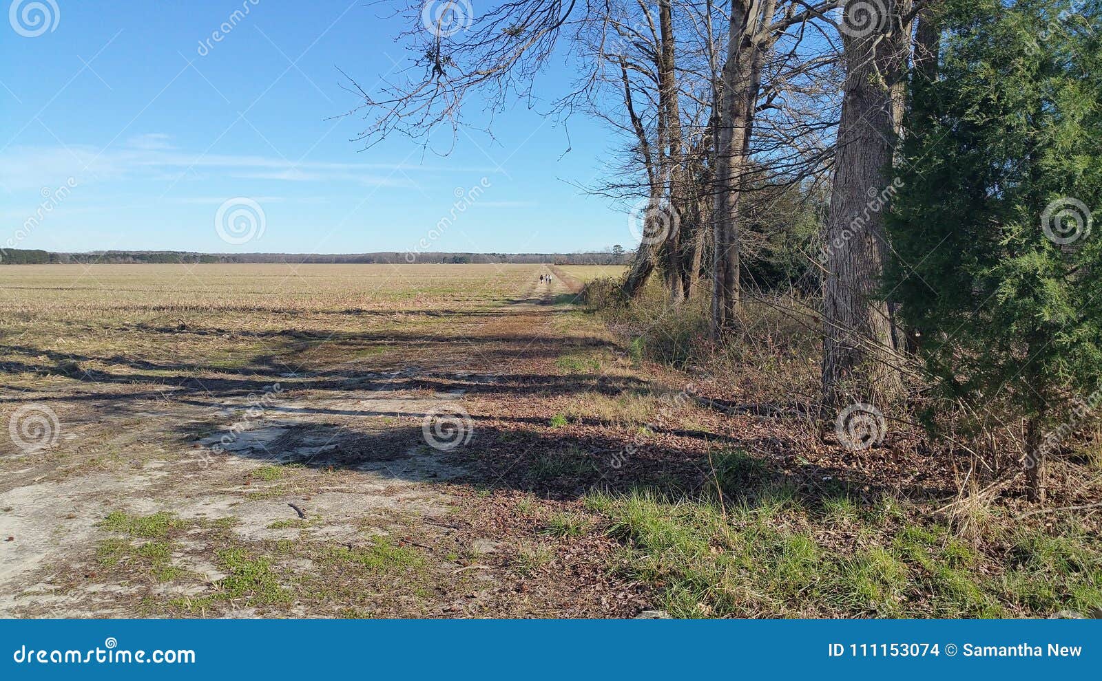 Wide open field stock photo. Image of skies, field, open - 111153074