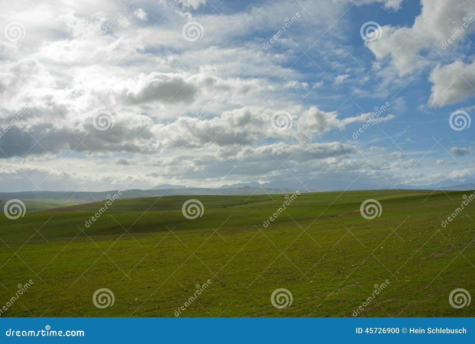 Wide Open Field with Clear Skies Stock Photo - Image of countryside ...