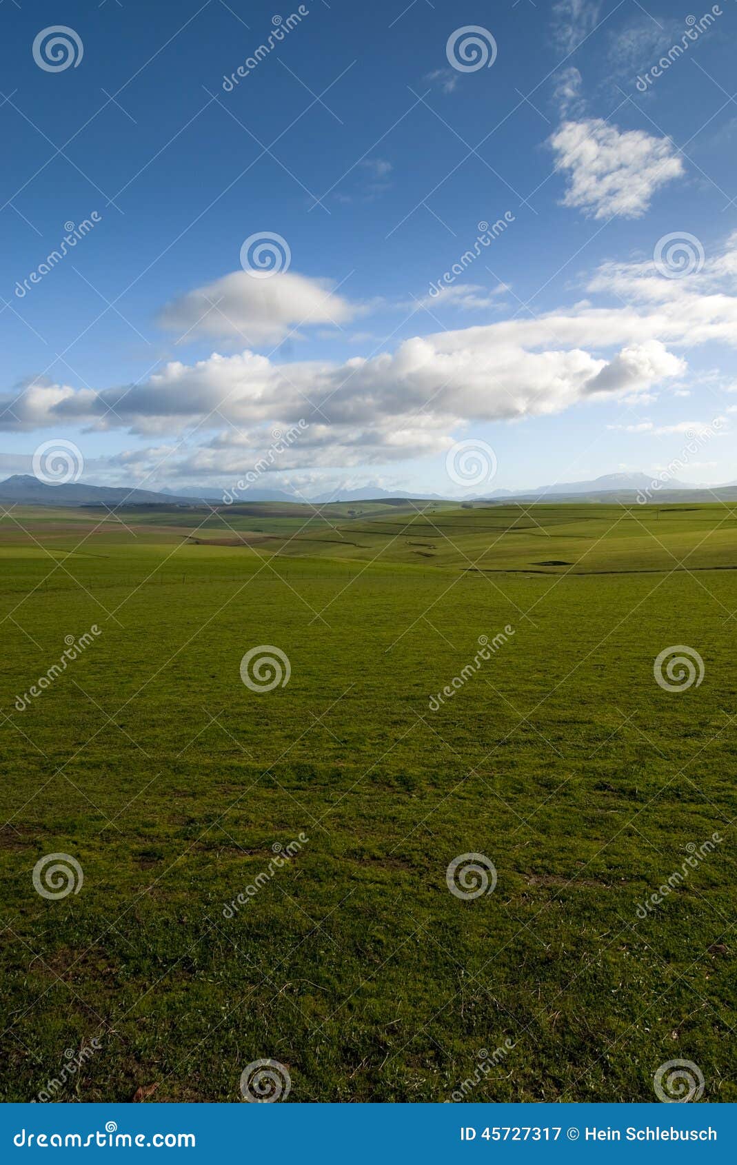 Wide Open Field with Clear Skies Stock Image - Image of outdoors ...